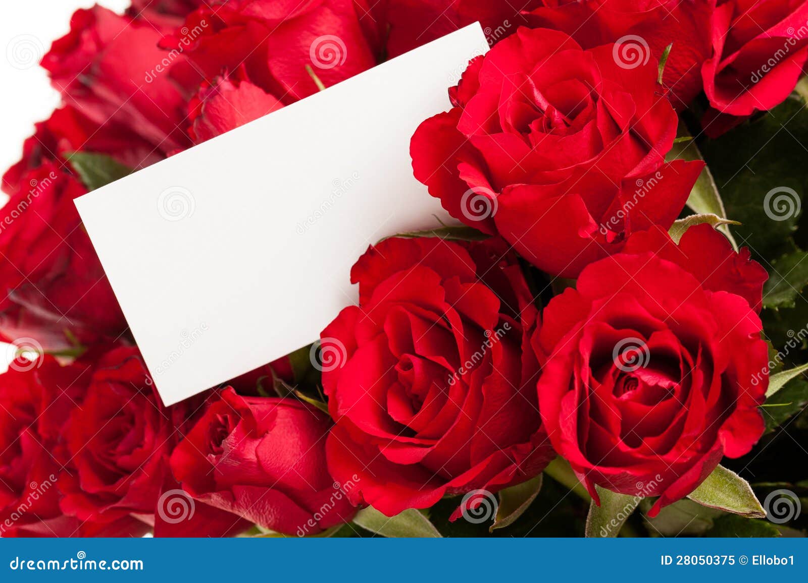 Red roses with gift tag. stock image. Image of botanical - 28050375
