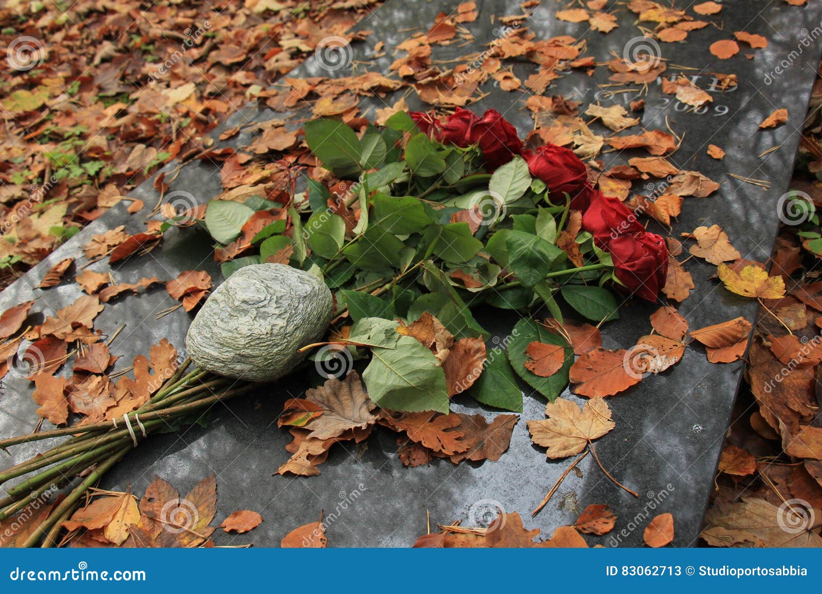 Red roses on a grave stock image. Image of funeral, leaves - 83062713