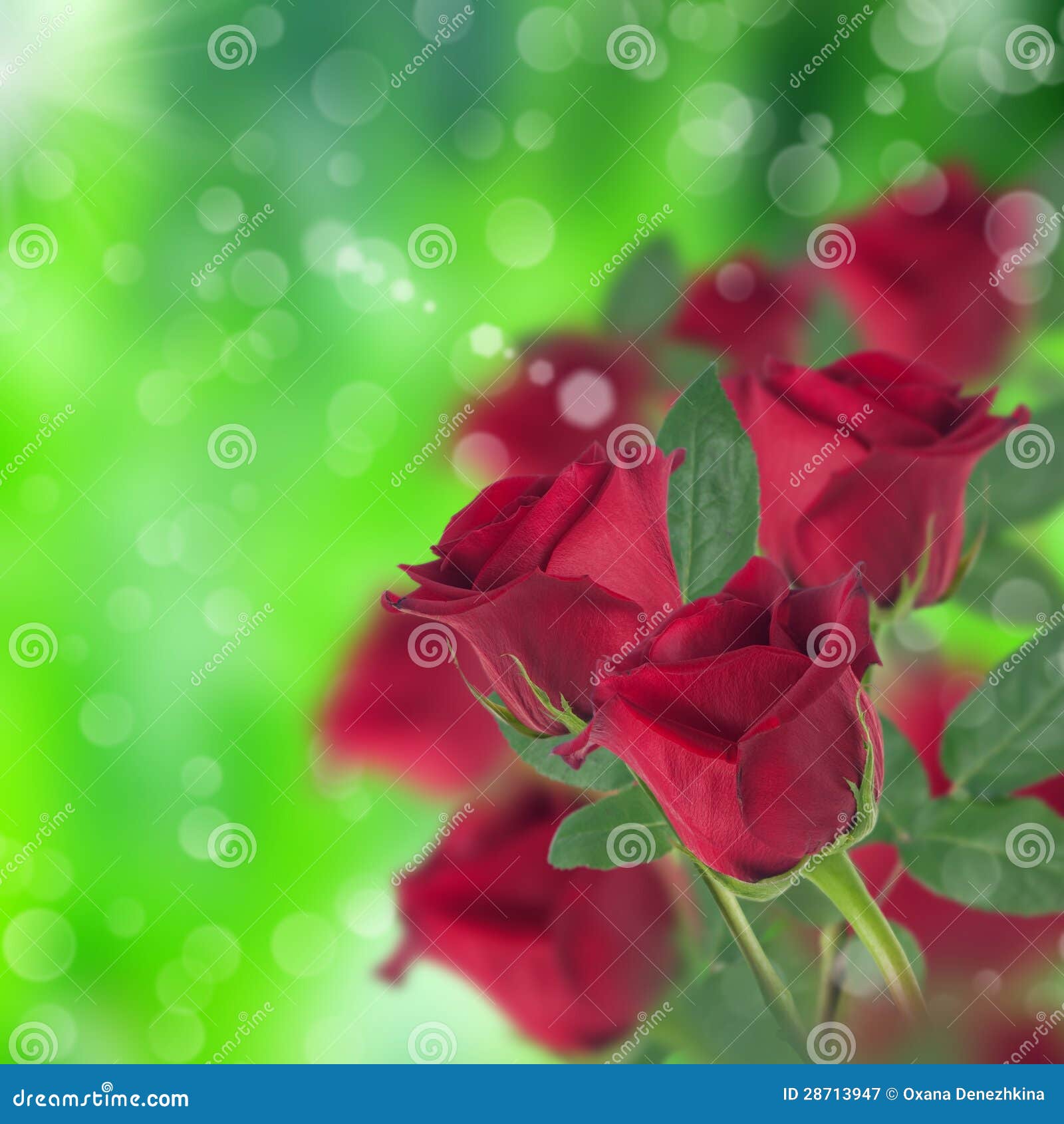 Red roses with green stock image. Image of flora, femine - 28713947