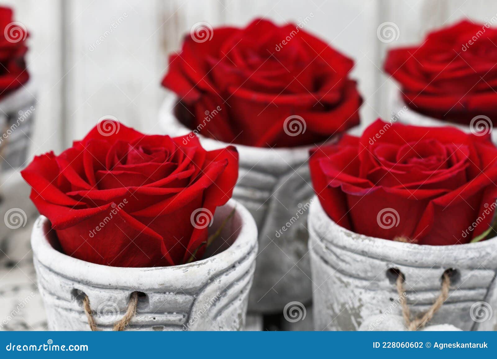 Red Roses Inside the Ceramic Pots. Romantic Decor Stock Photo - Image ...