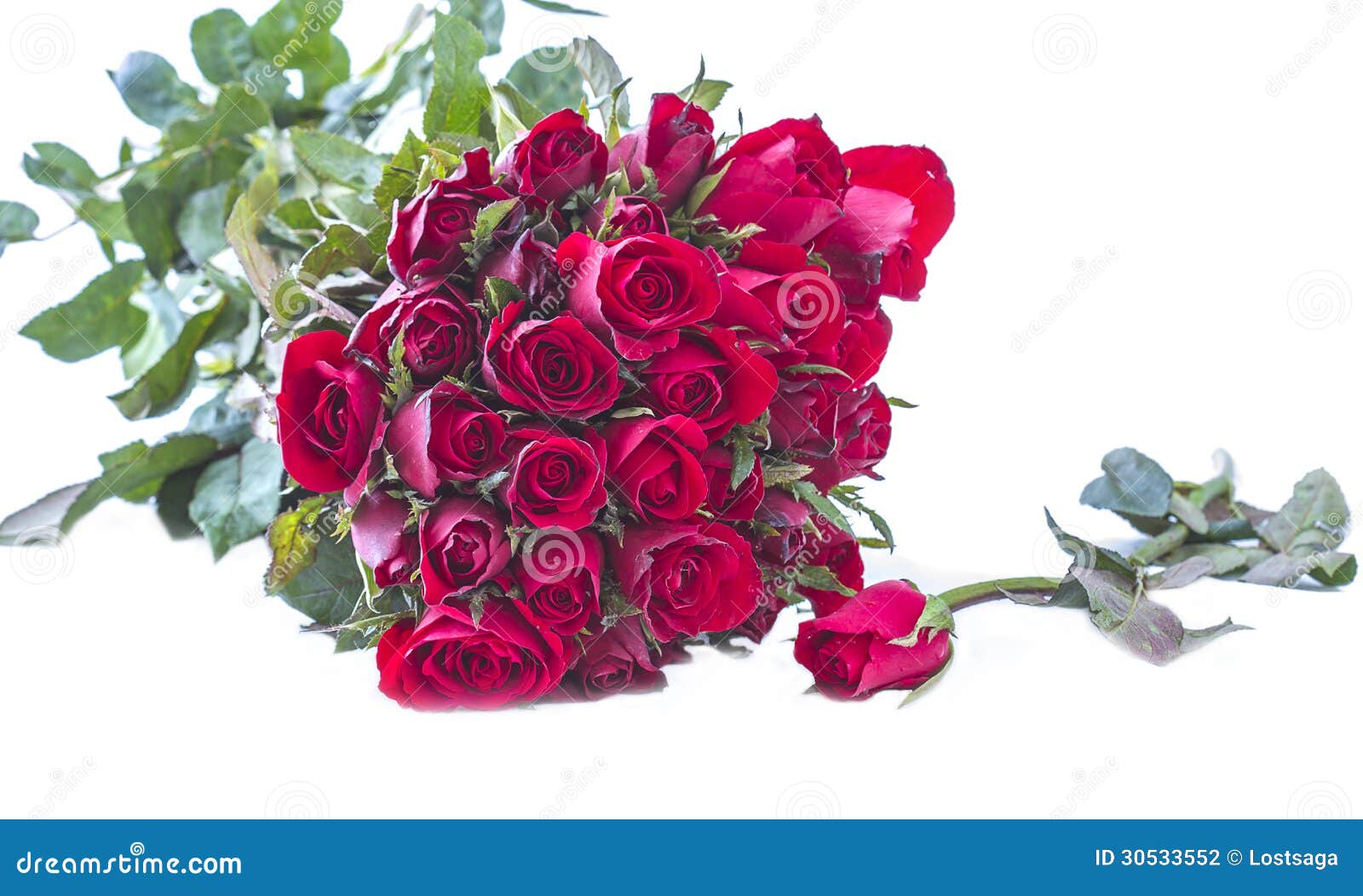 Red Roses Isolated on White Background Stock Photo - Image of green ...