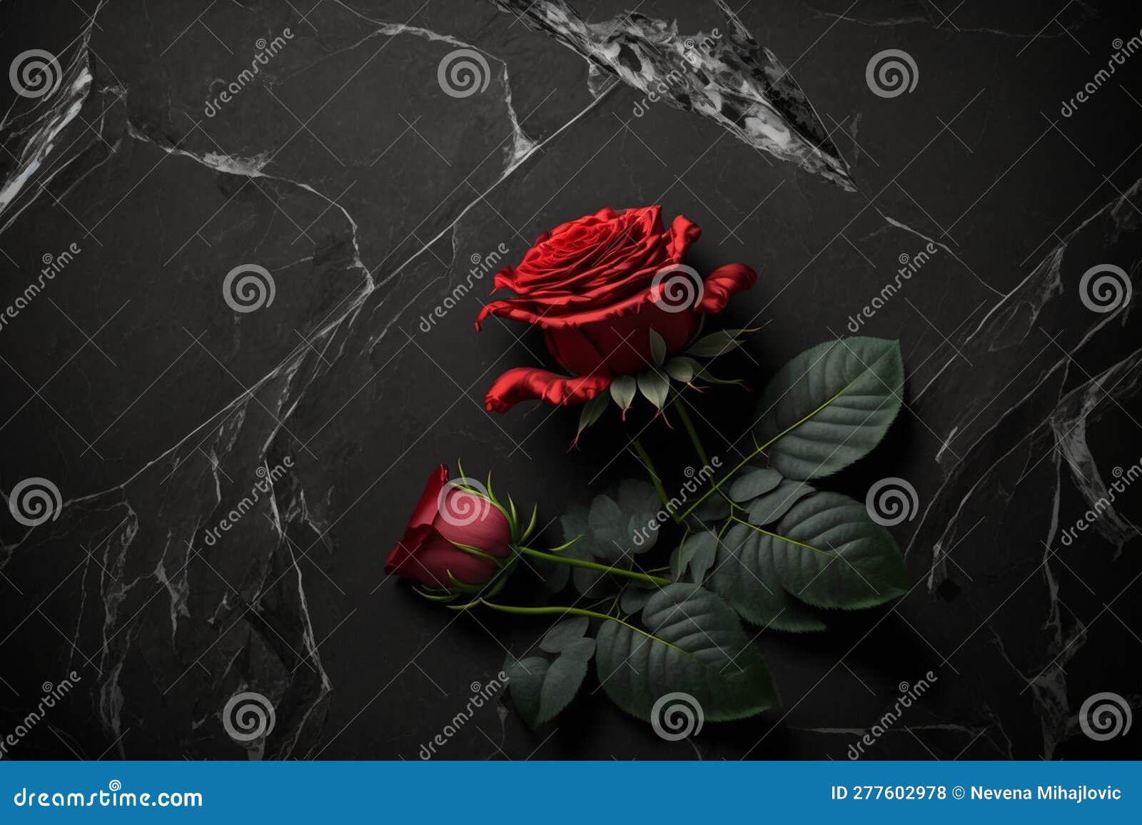 Red Roses Laying on Marble Table Stock Illustration - Illustration of ...
