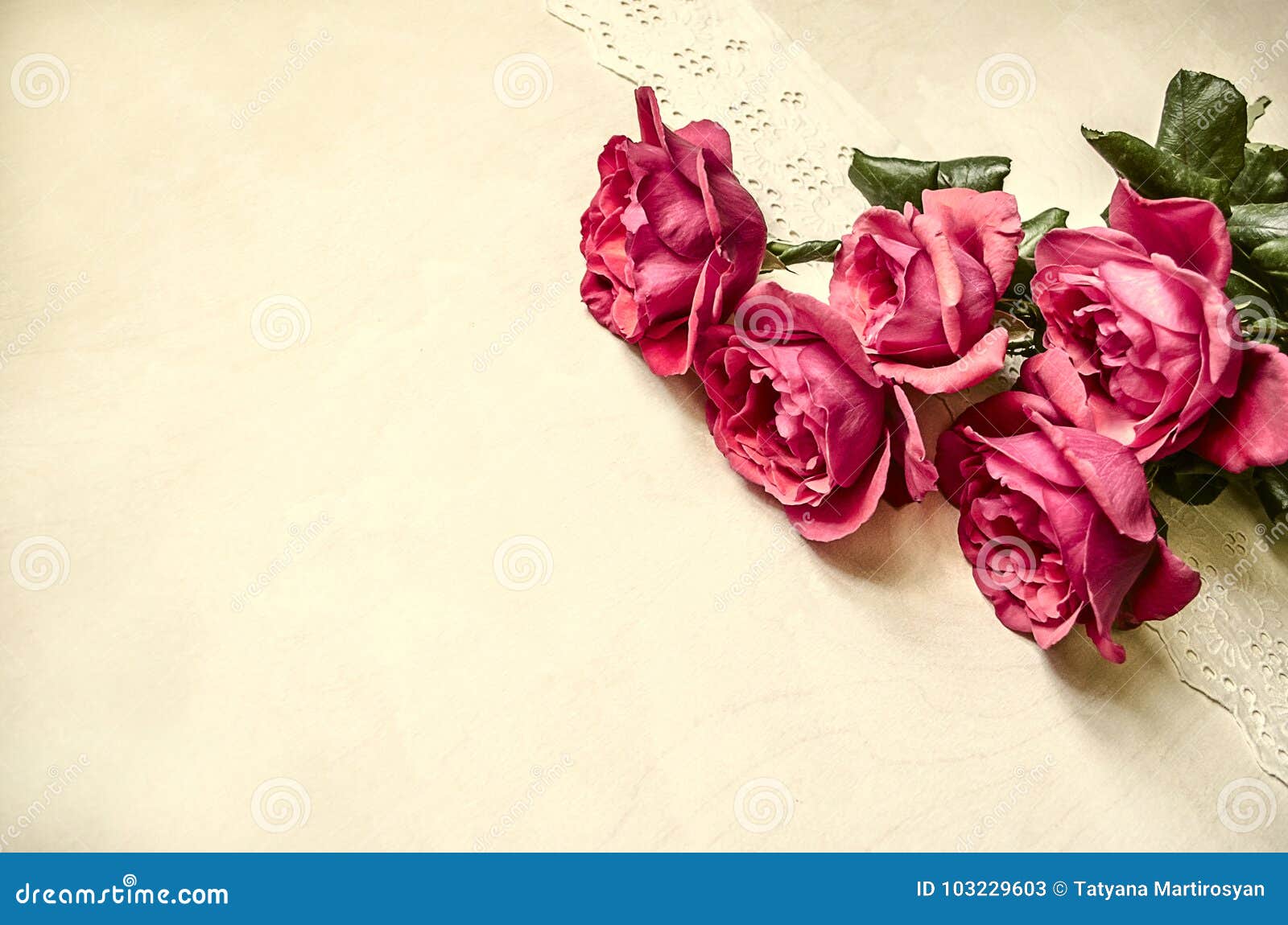 Red Roses Lie on a Corner of a White Embroidered Openwork Strip Stock ...