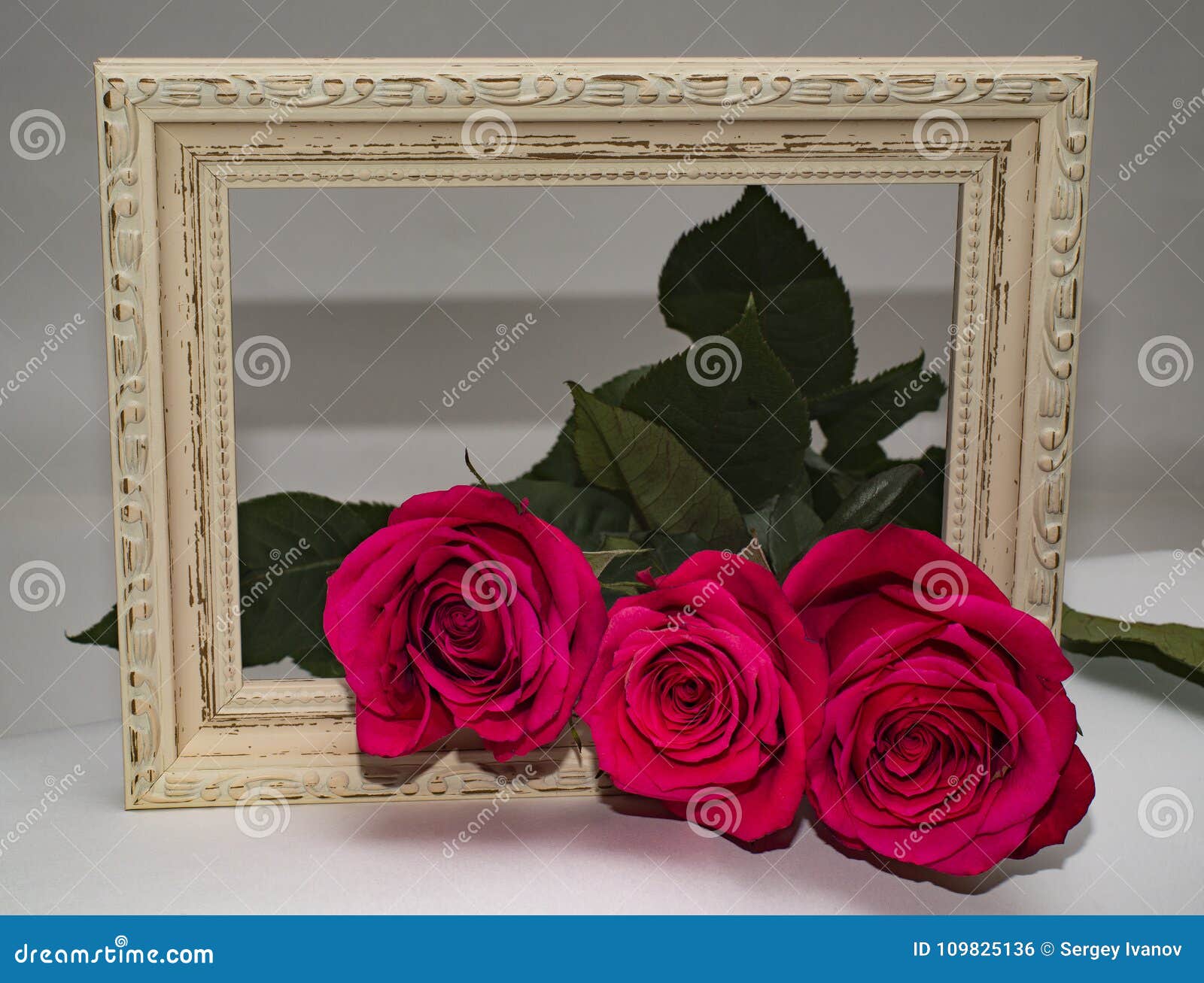 Three roses in a frame stock photo. Image of fourteenth - 109825136