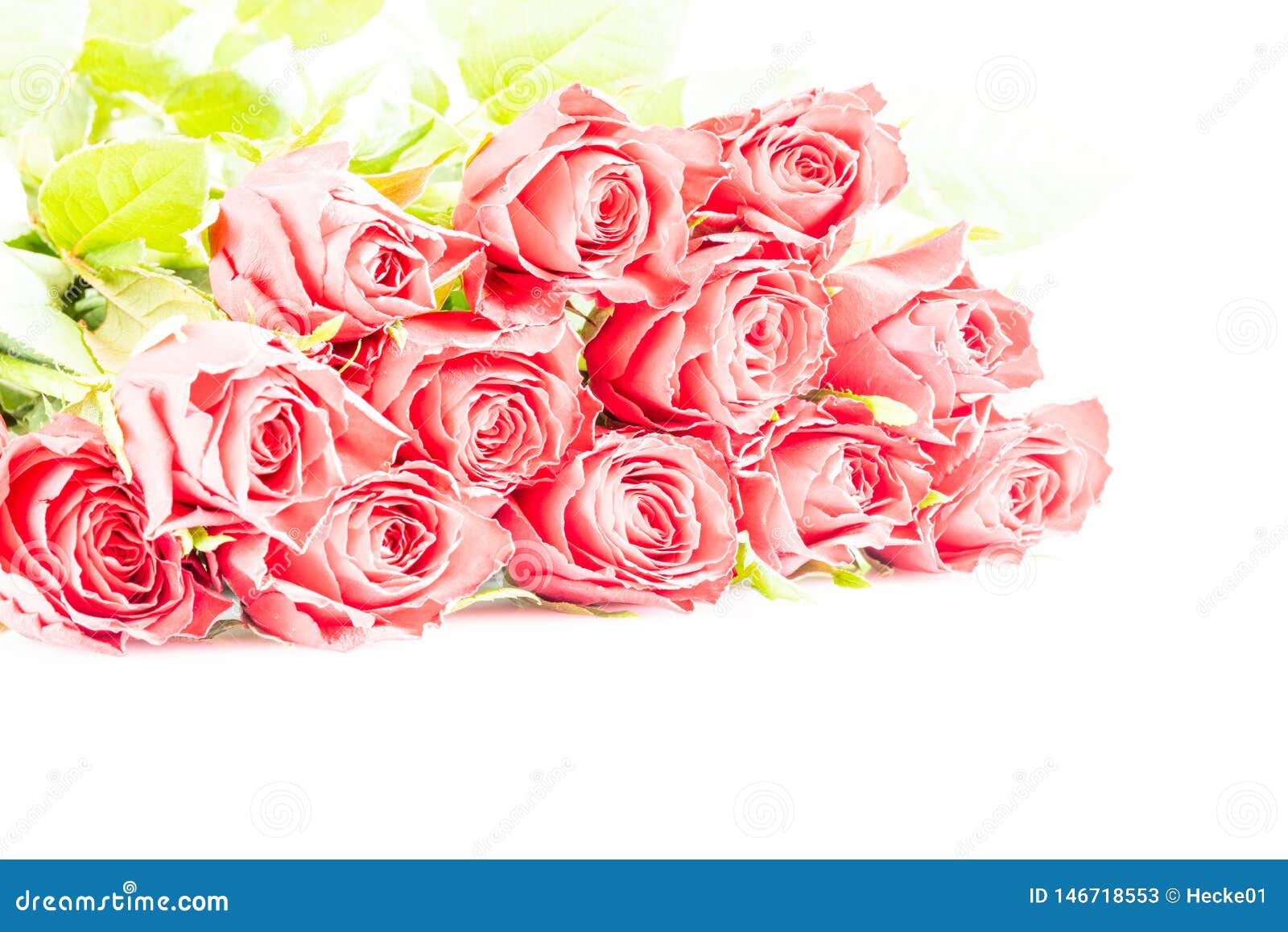 Red roses for love stock image. Image of rosales, nature - 146718553