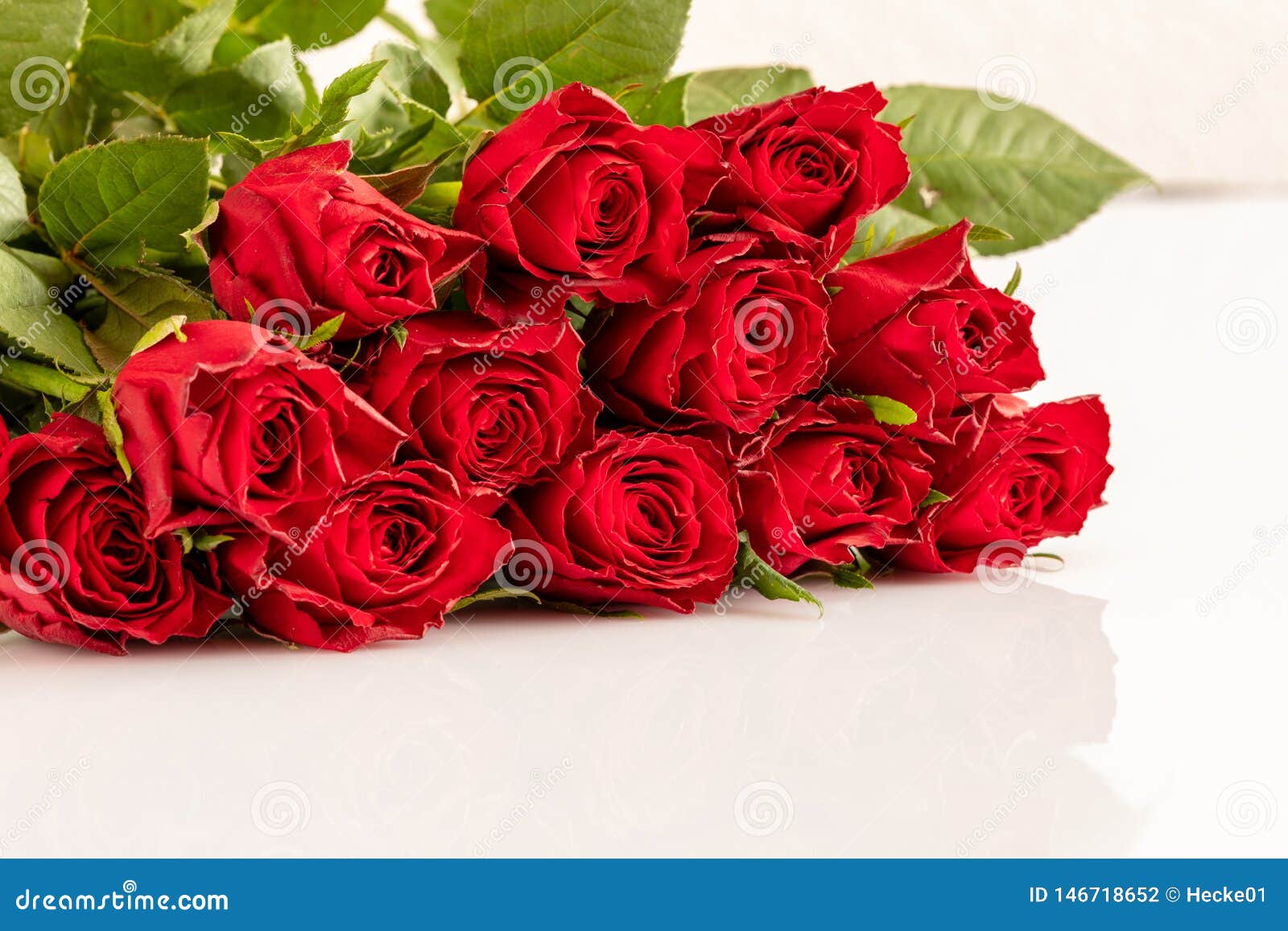 Red roses for love stock photo. Image of bouquet, valentine - 146718652