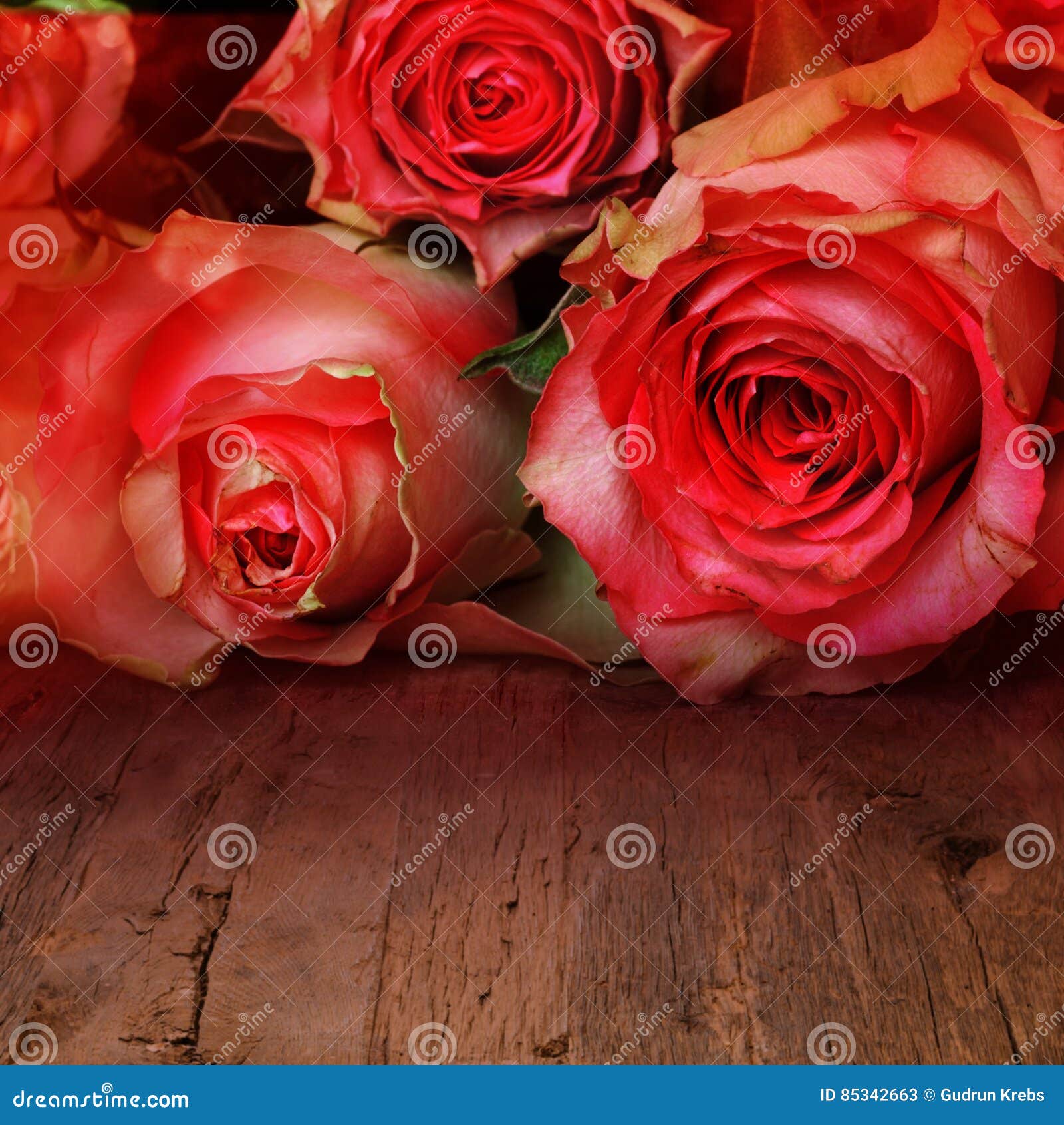Red Roses for a Love Message Stock Image - Image of last, embassy: 85342663