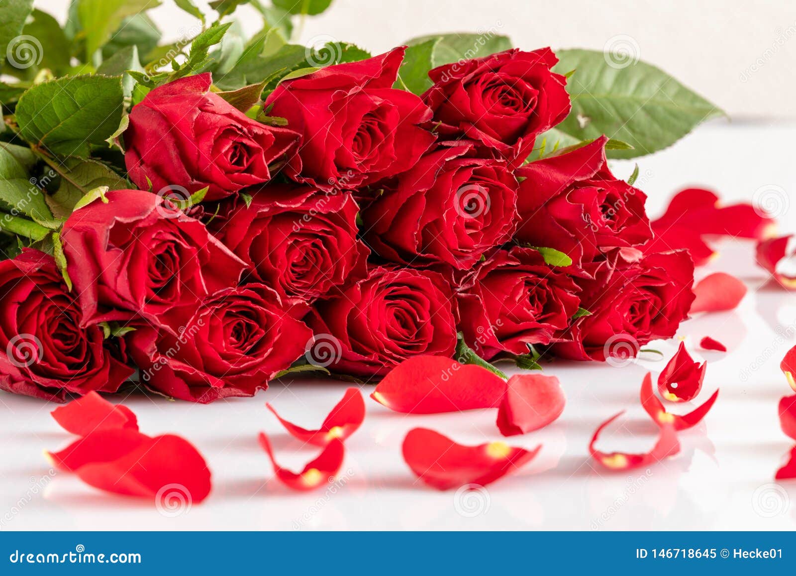 Red roses for love stock image. Image of mothers, greeting - 146718645