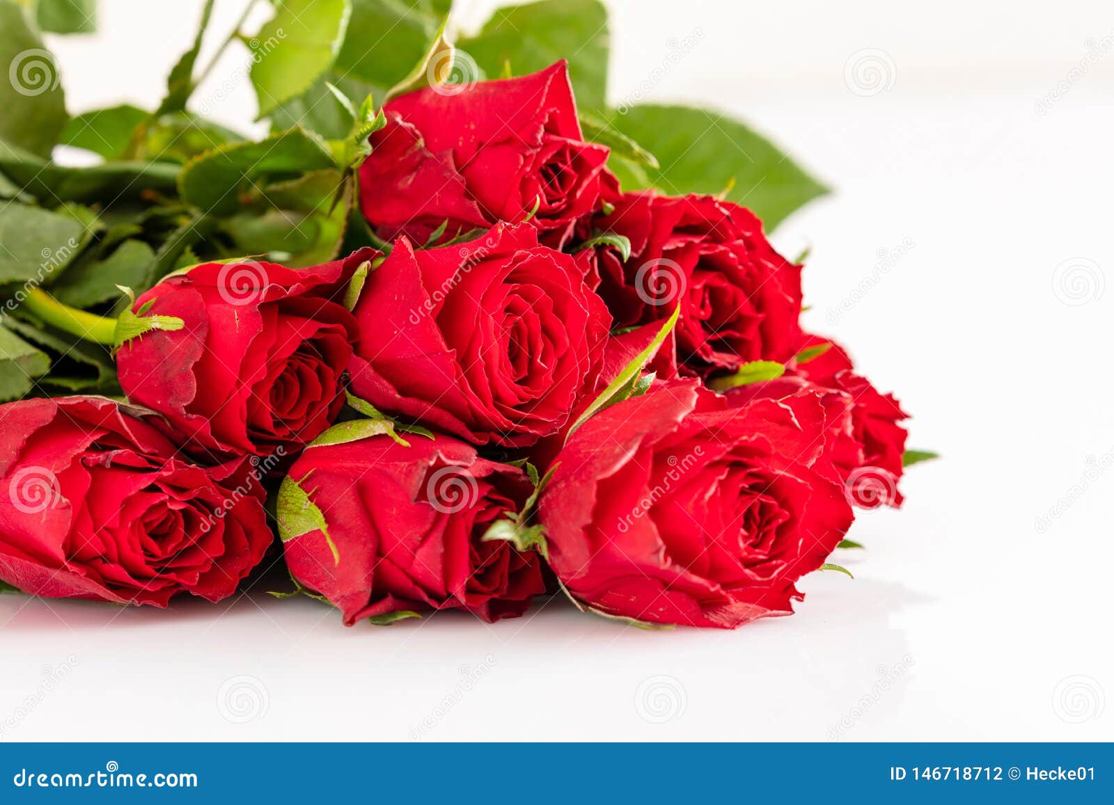 Red roses for love stock photo. Image of valentine, romantic - 146718712