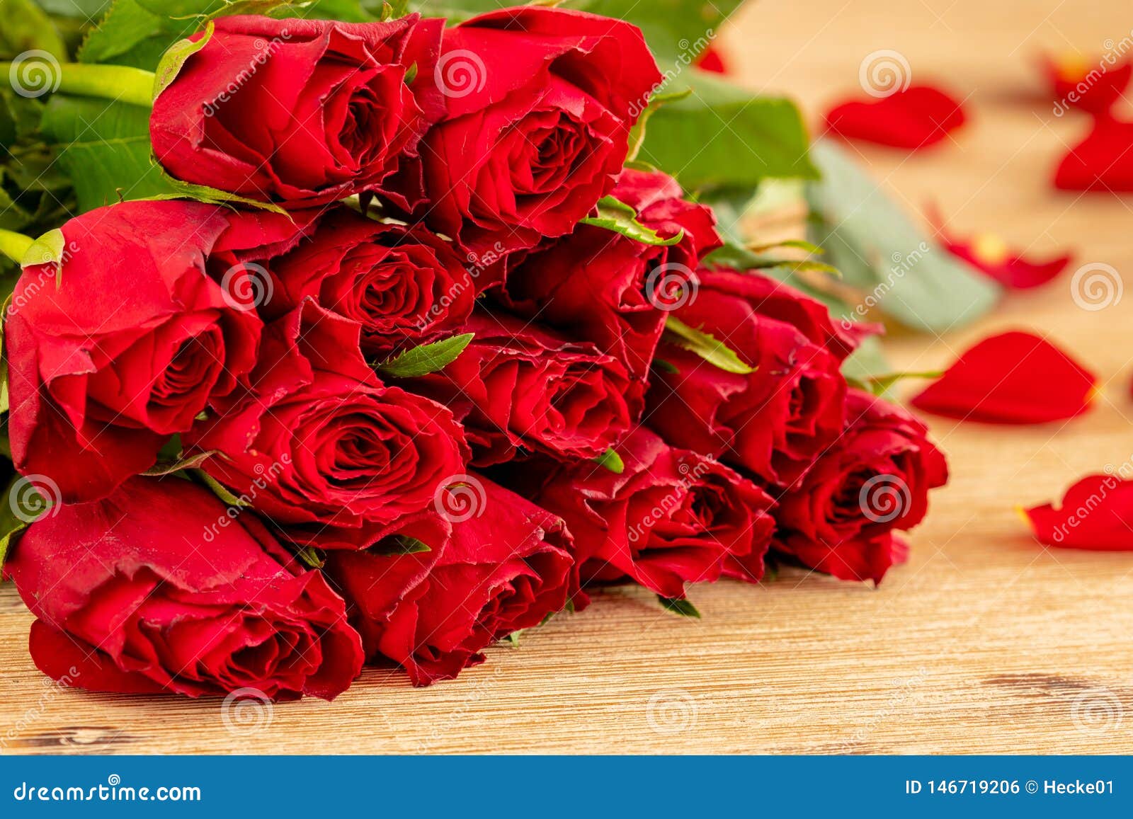 Red roses for love stock photo. Image of floral, valentines - 146719206
