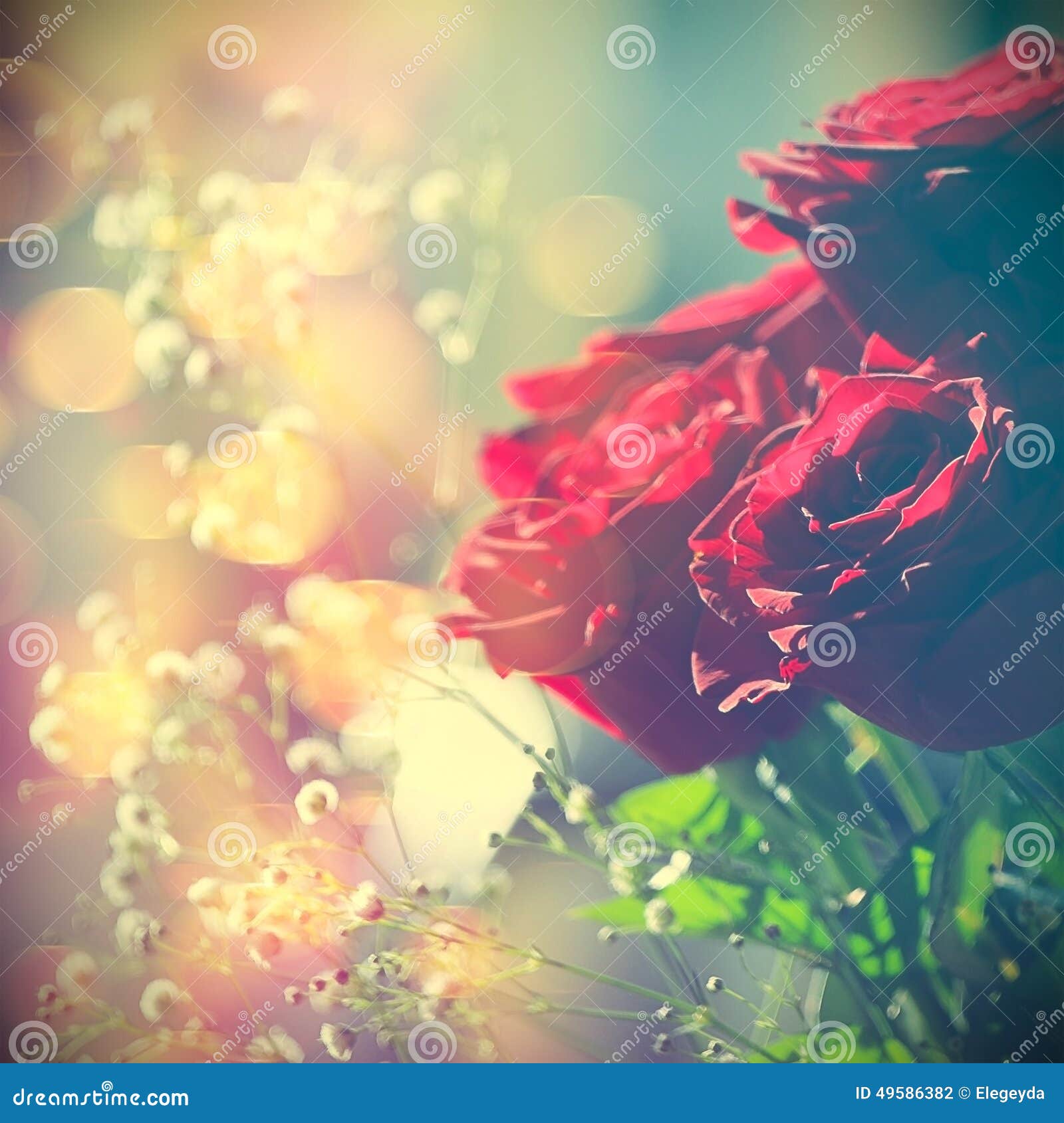 Red roses stock photo. Image of garden, floral, decoration - 49586382