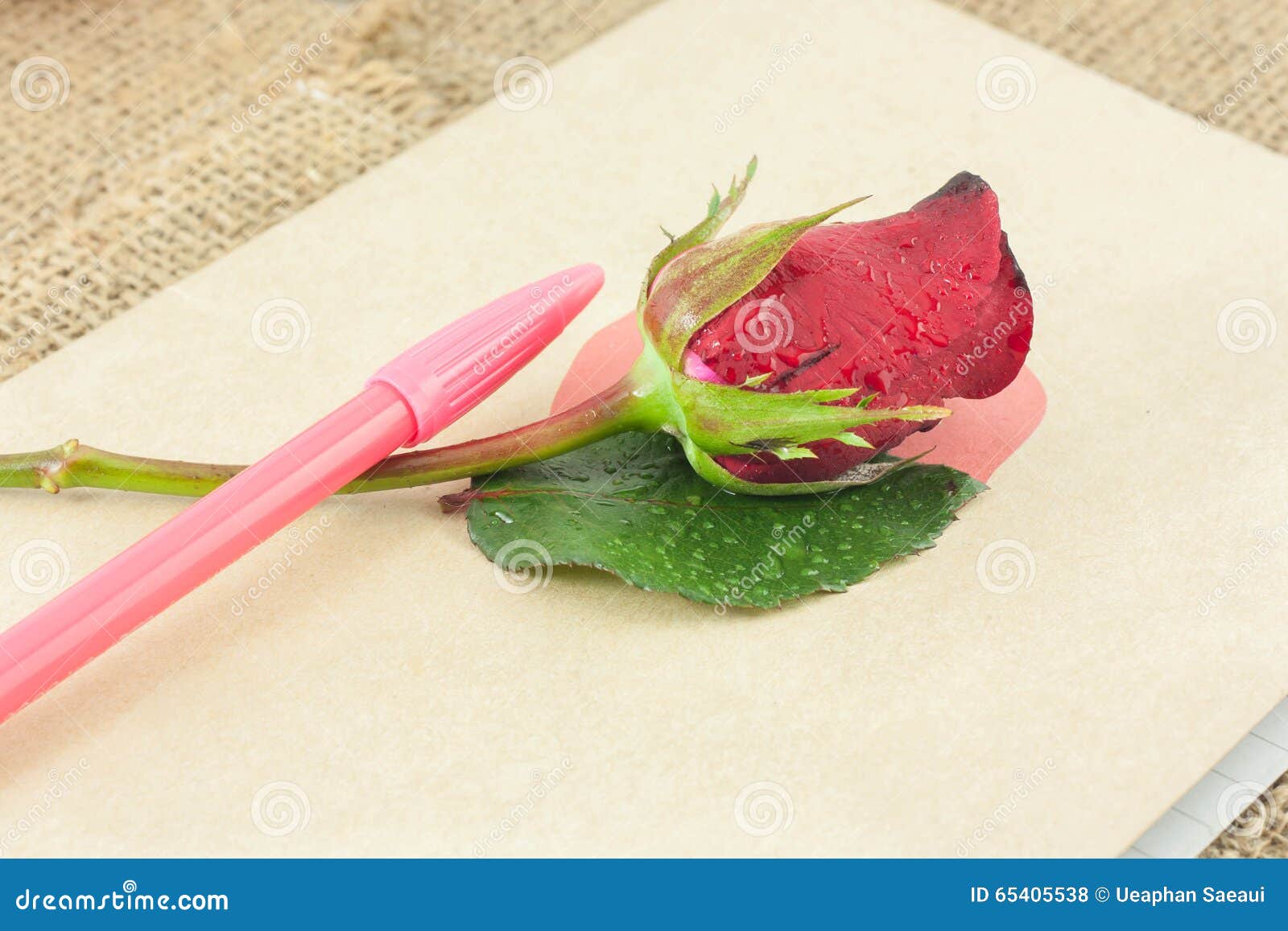 Red Roses and Pen are Placed on Old Book. Stock Photo - Image of color ...