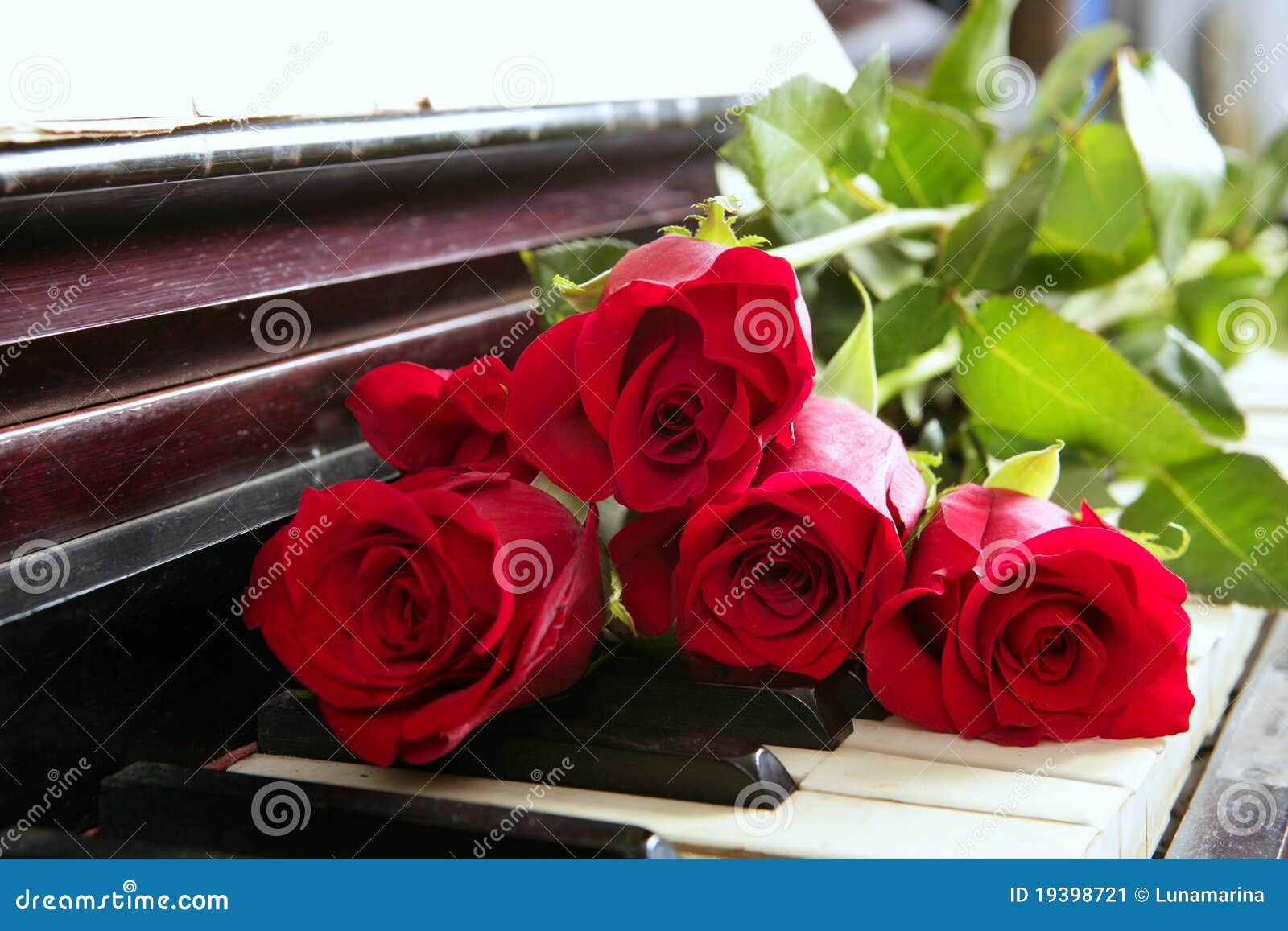 Piano And Red Rose