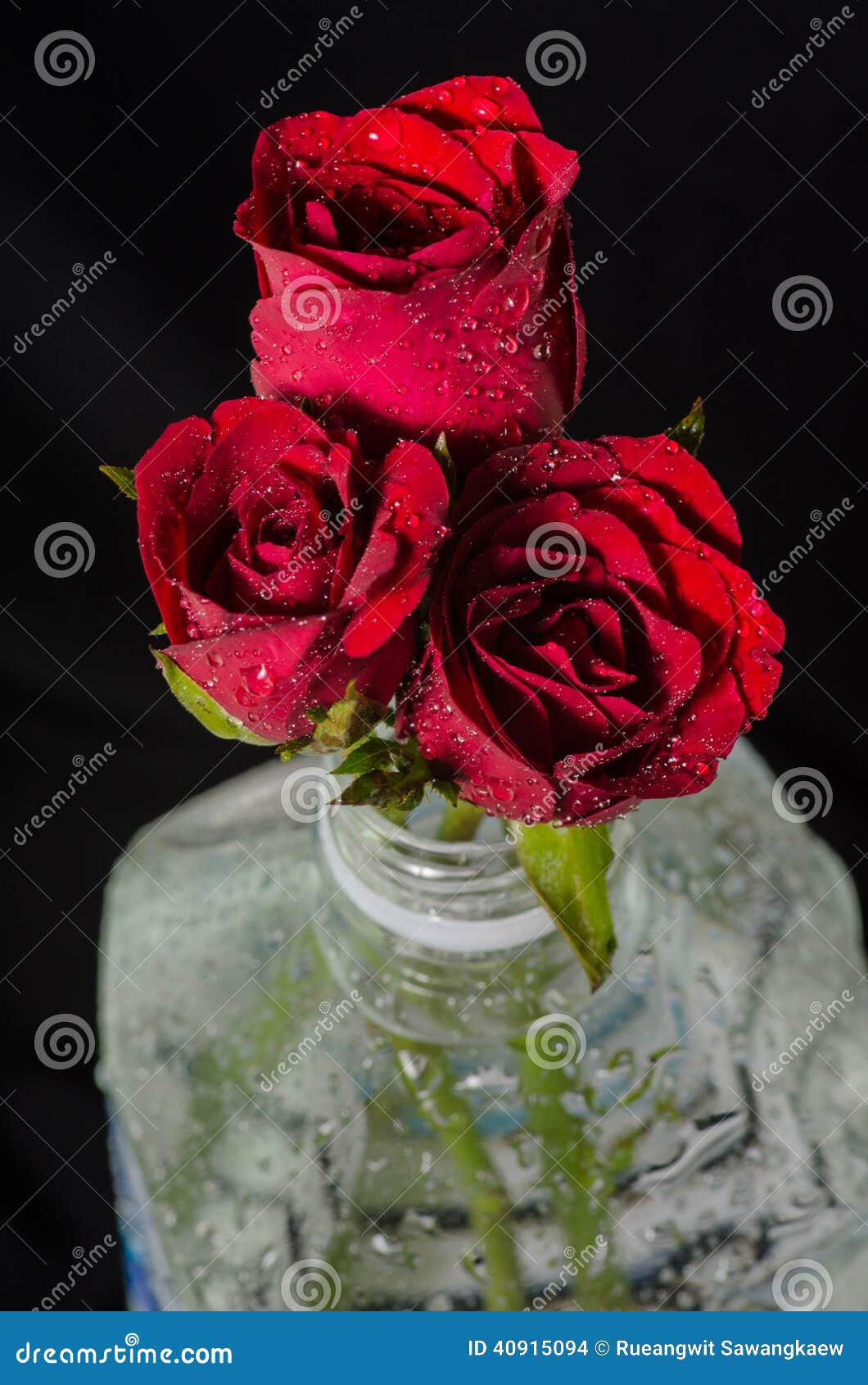 Red Roses in Plastic Bottle Stock Photo - Image of occasion, honeymoon ...