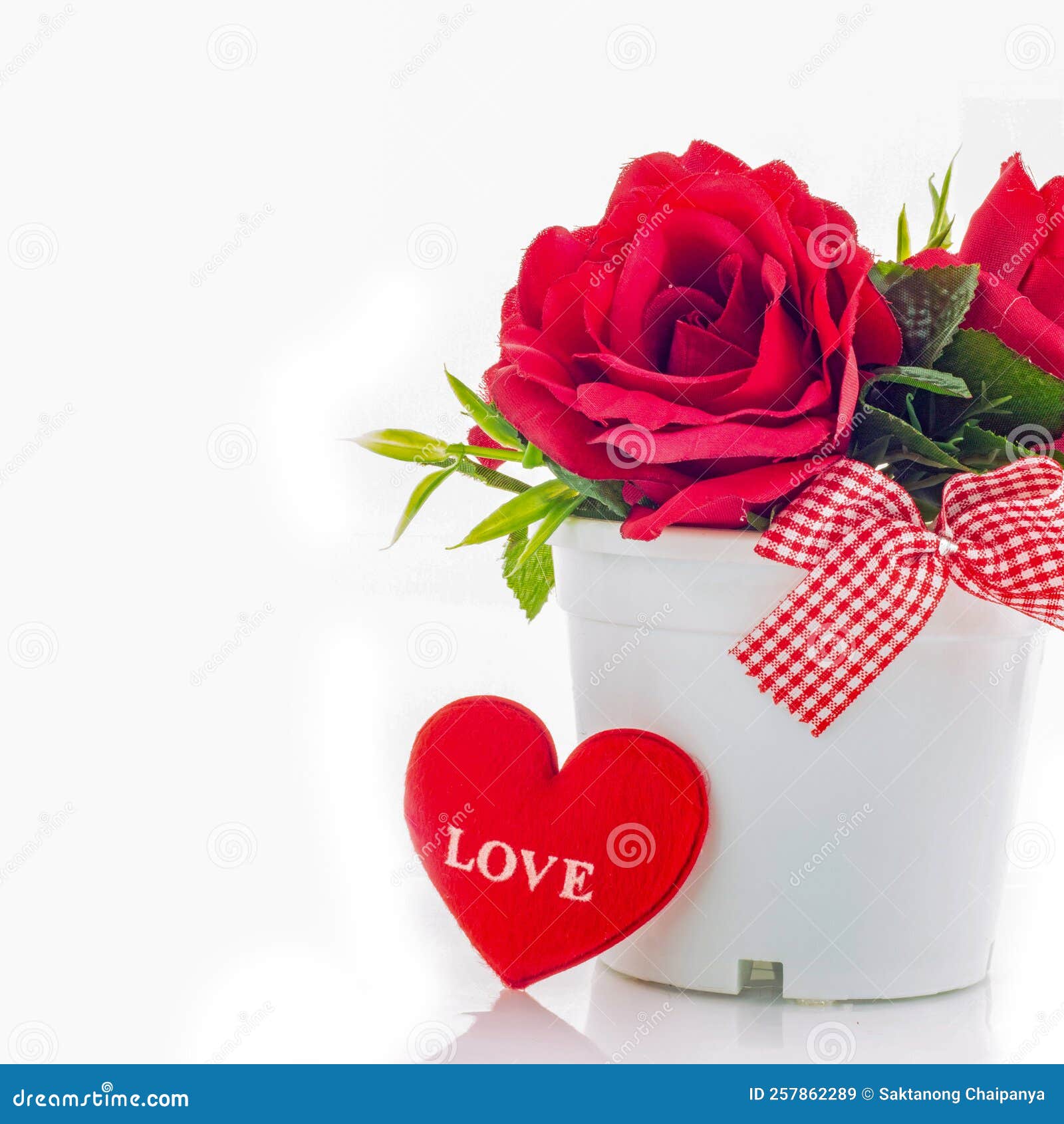 Red Roses in a Pot on the White Background Stock Image - Image of ...