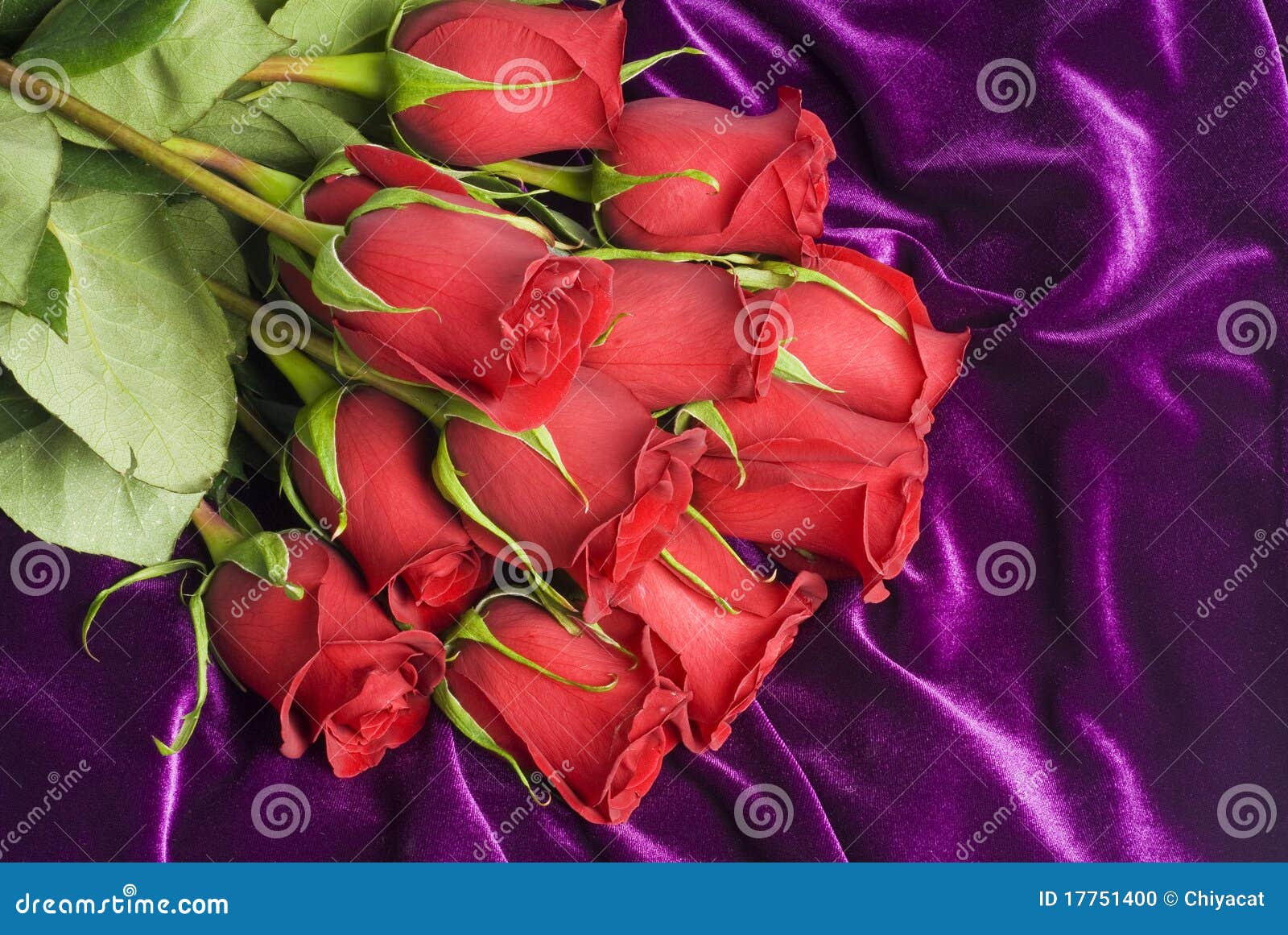 Red Roses on Purple Velvet stock photo. Image of purple - 17751400