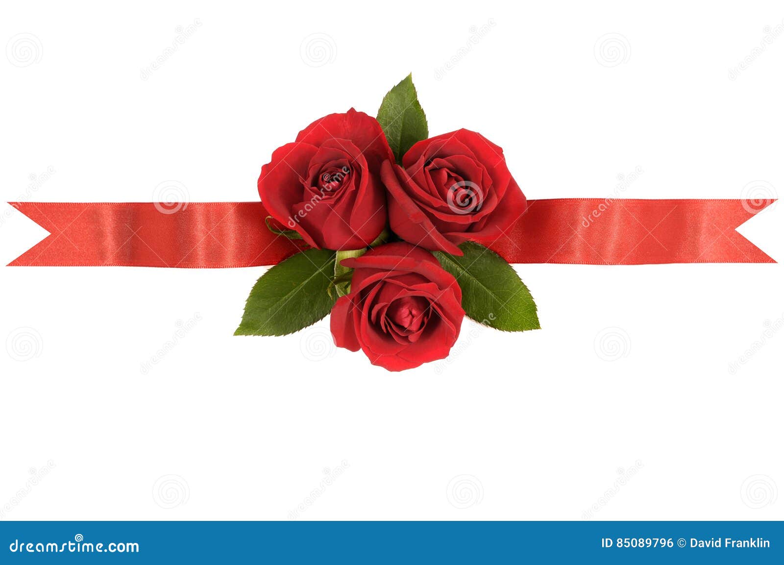 Red Roses Ribbon Banner Border Straight Horizontal Stock Photo - Image ...