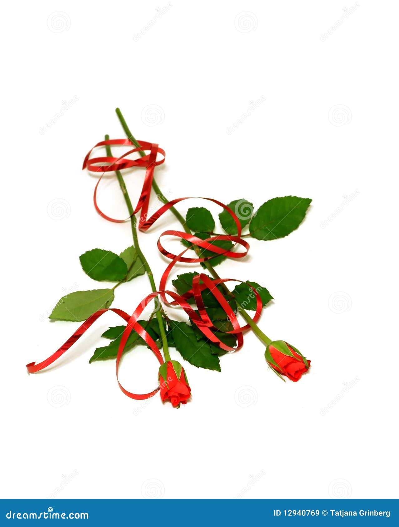 Red Roses with Ribbon Isolated on White Stock Image - Image of bouquet ...
