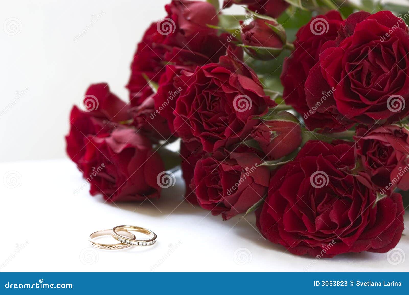 Red roses and rings stock image. Image of lovely, bands - 3053823
