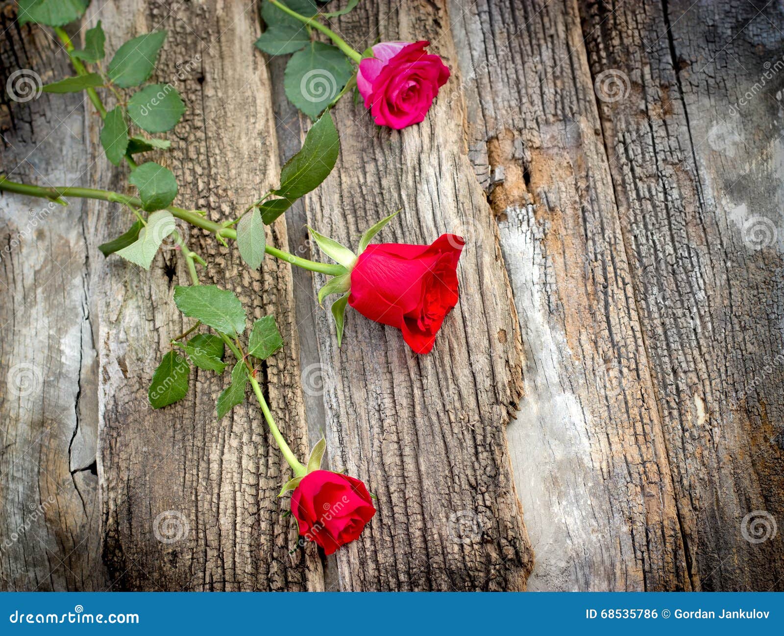 Red Roses on Rustic Wooden Background Stock Photo - Image of background ...