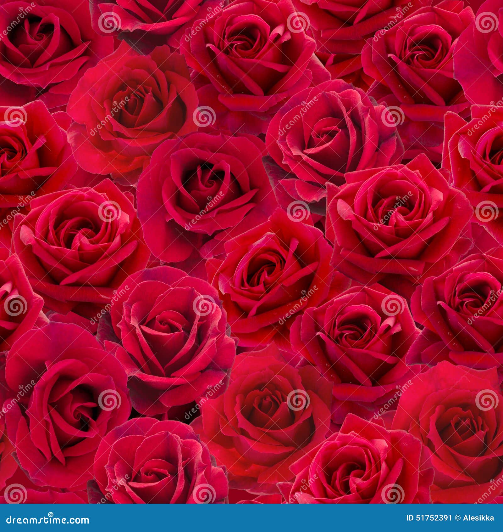 Red roses seamless pattern stock illustration. Illustration of love ...