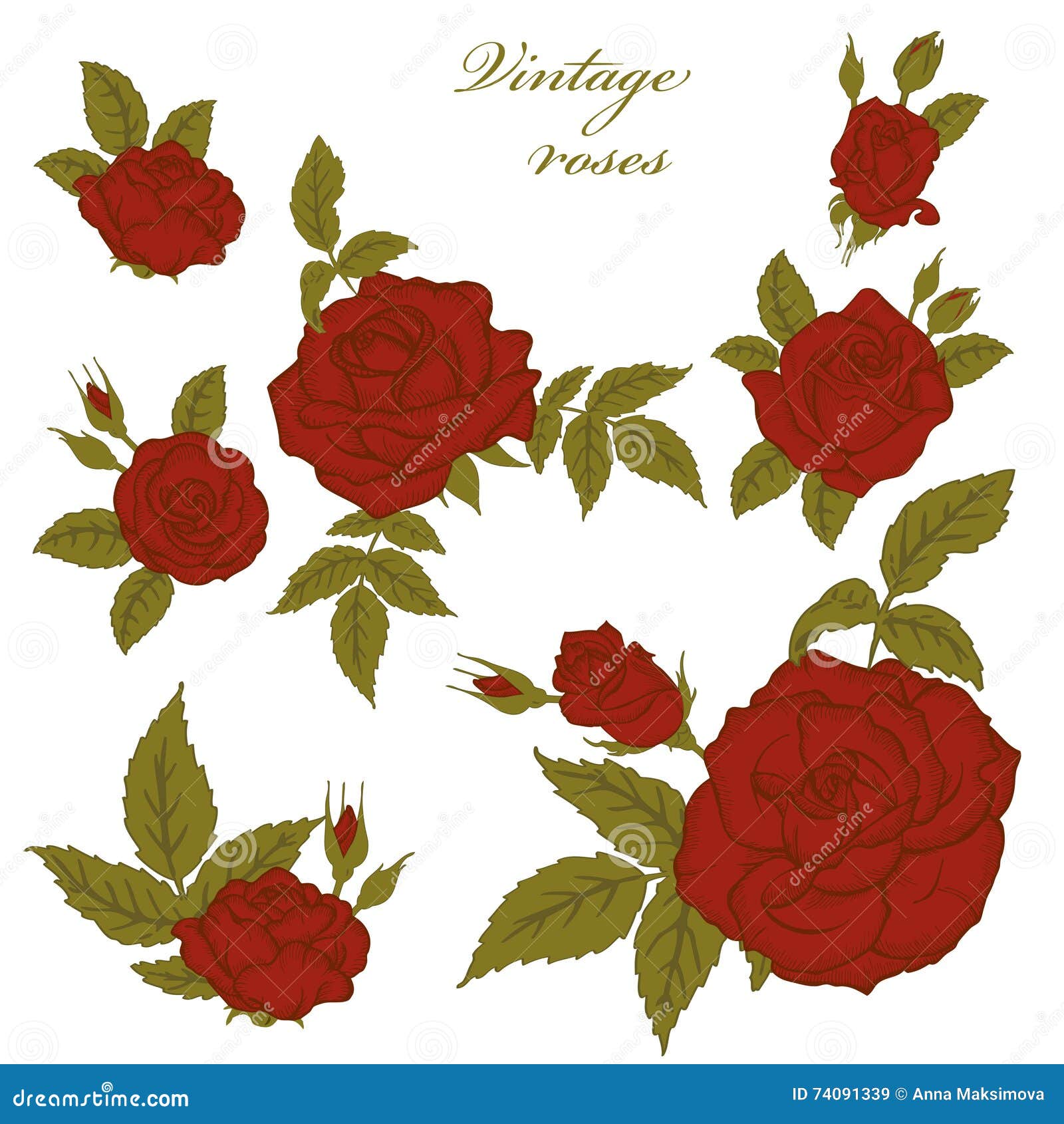 Red roses set stock vector. Illustration of green, modern - 74091339