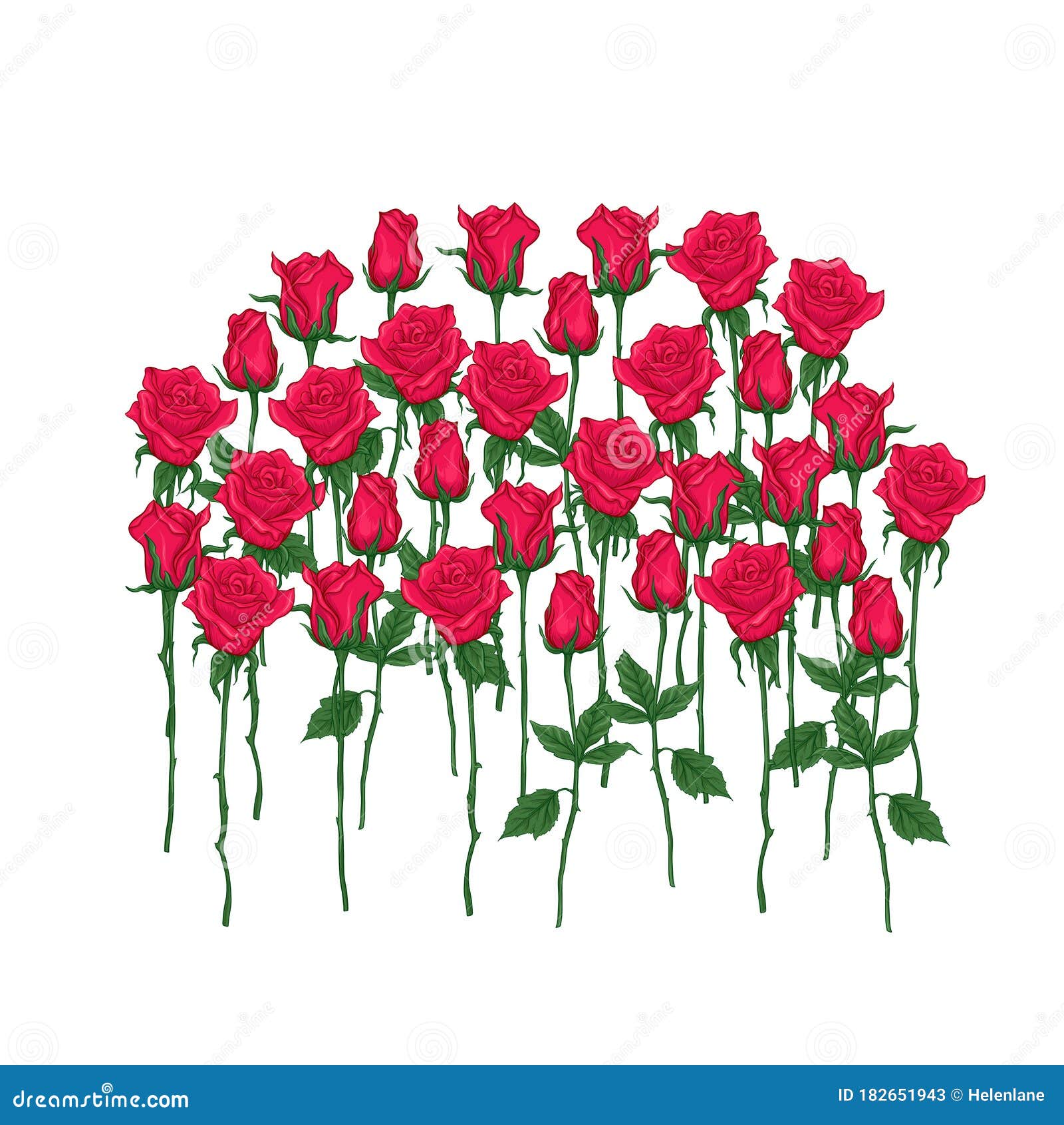 Red Roses Set. Multicolor Vector Illustration Stock Vector ...