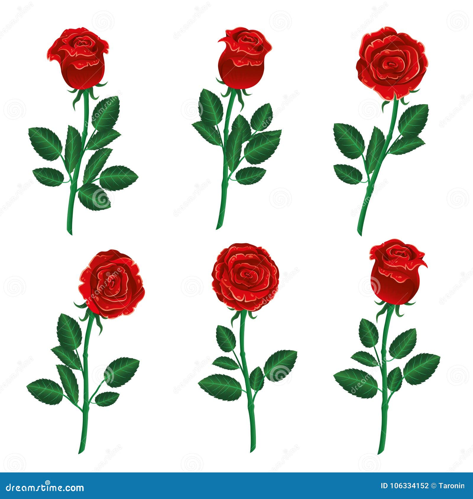 Red roses set. stock vector. Illustration of vector - 106334152