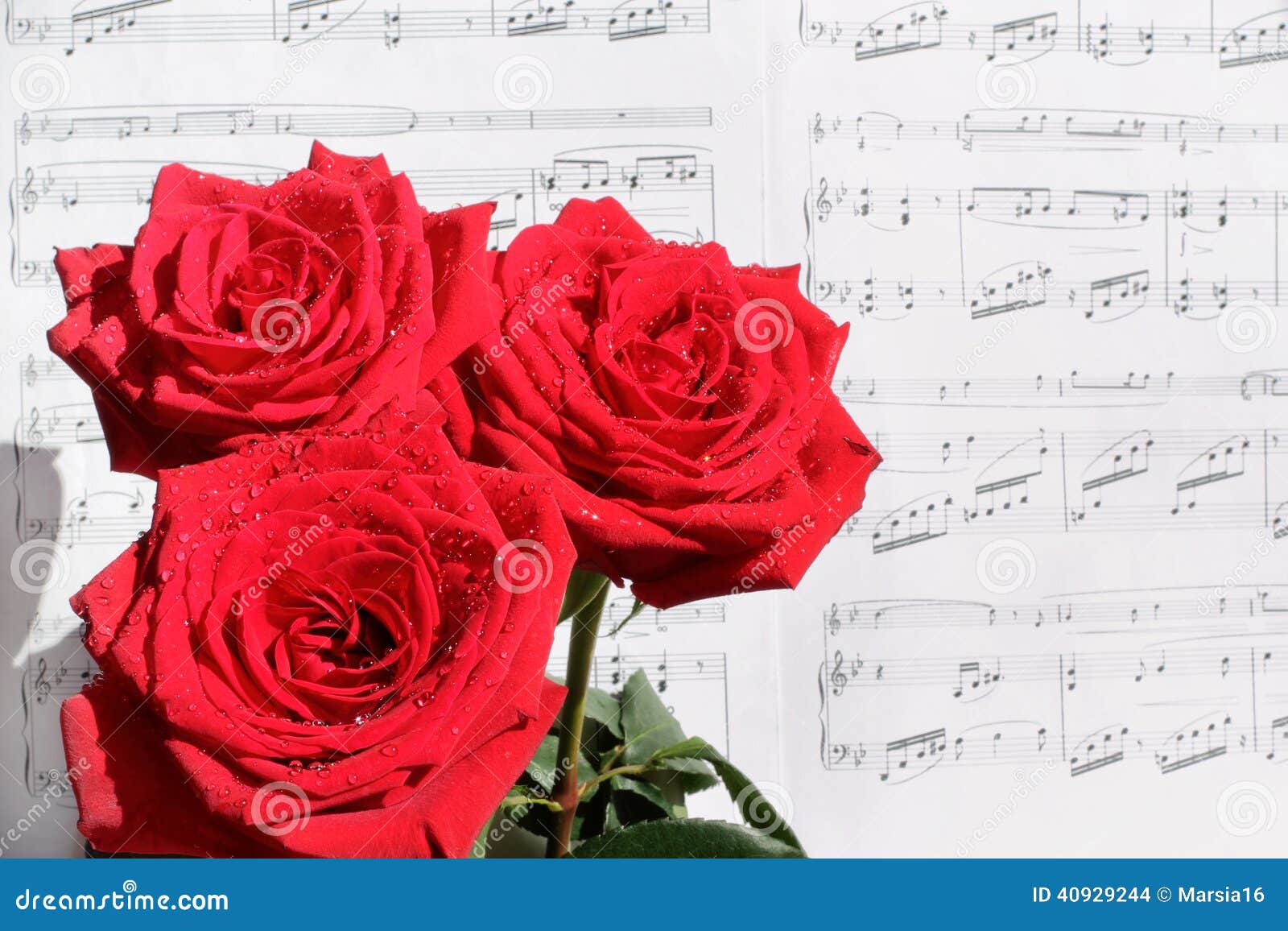 Roses And Music. Stock Image | CartoonDealer.com #16529311