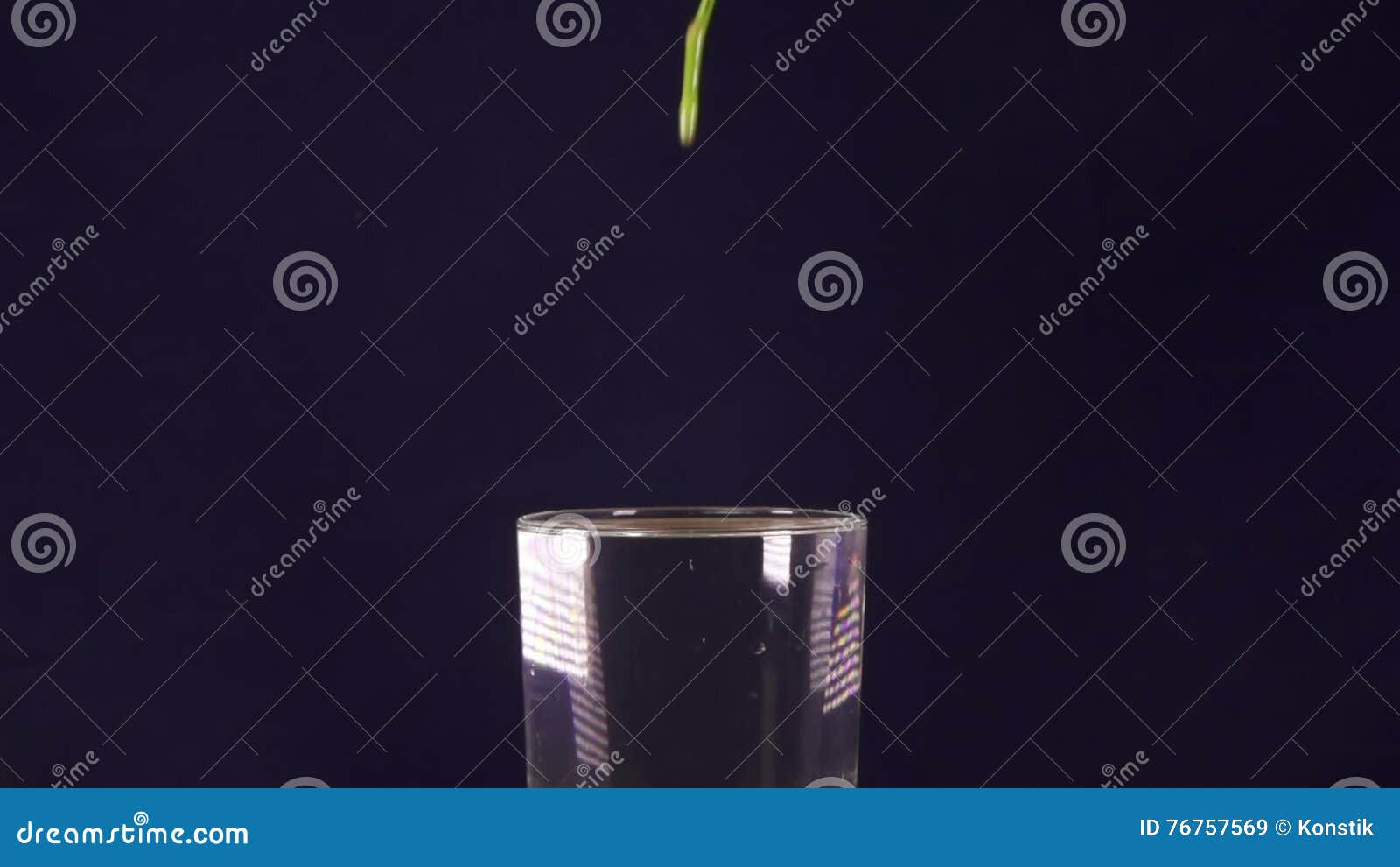 Red Roses Slowly Fall in a Vase and Bouncing, Slow Motion Stock Video ...