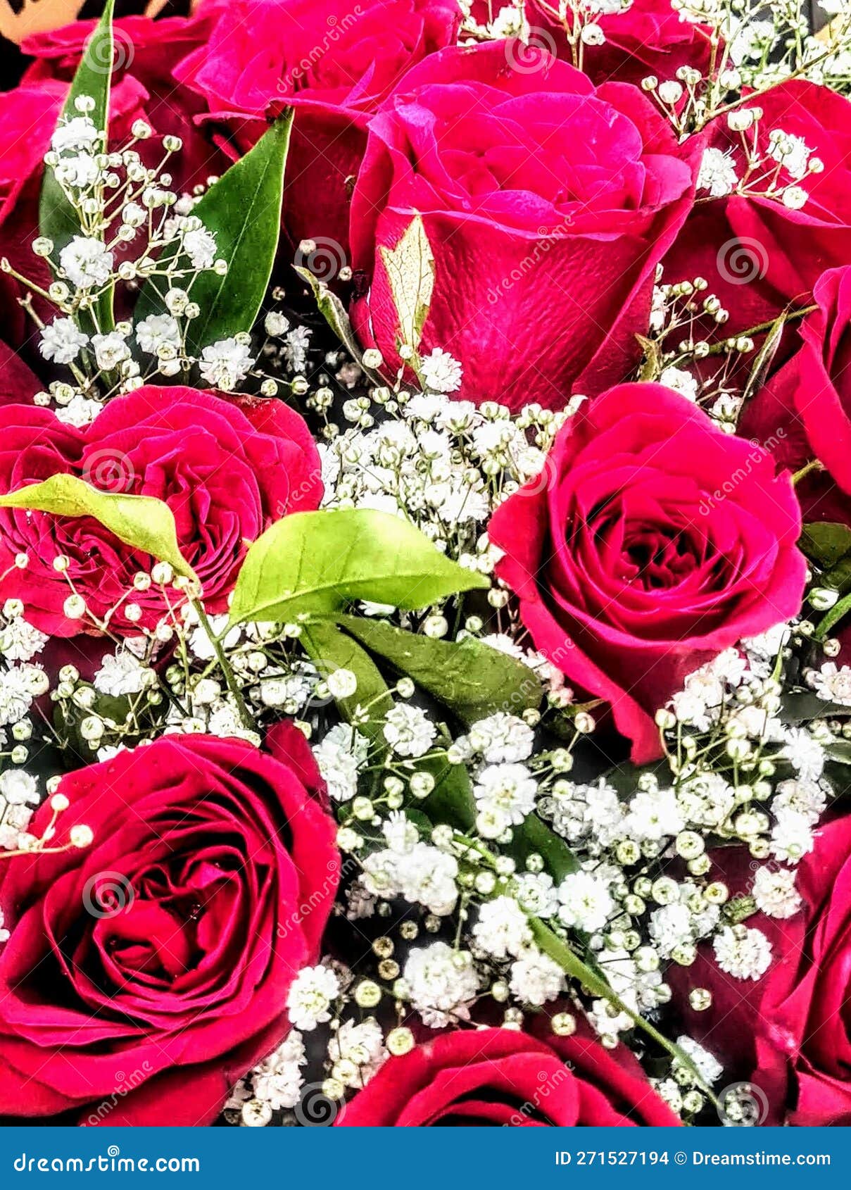 Red Roses with Small White Flowers Stock Photo - Image of flowers ...