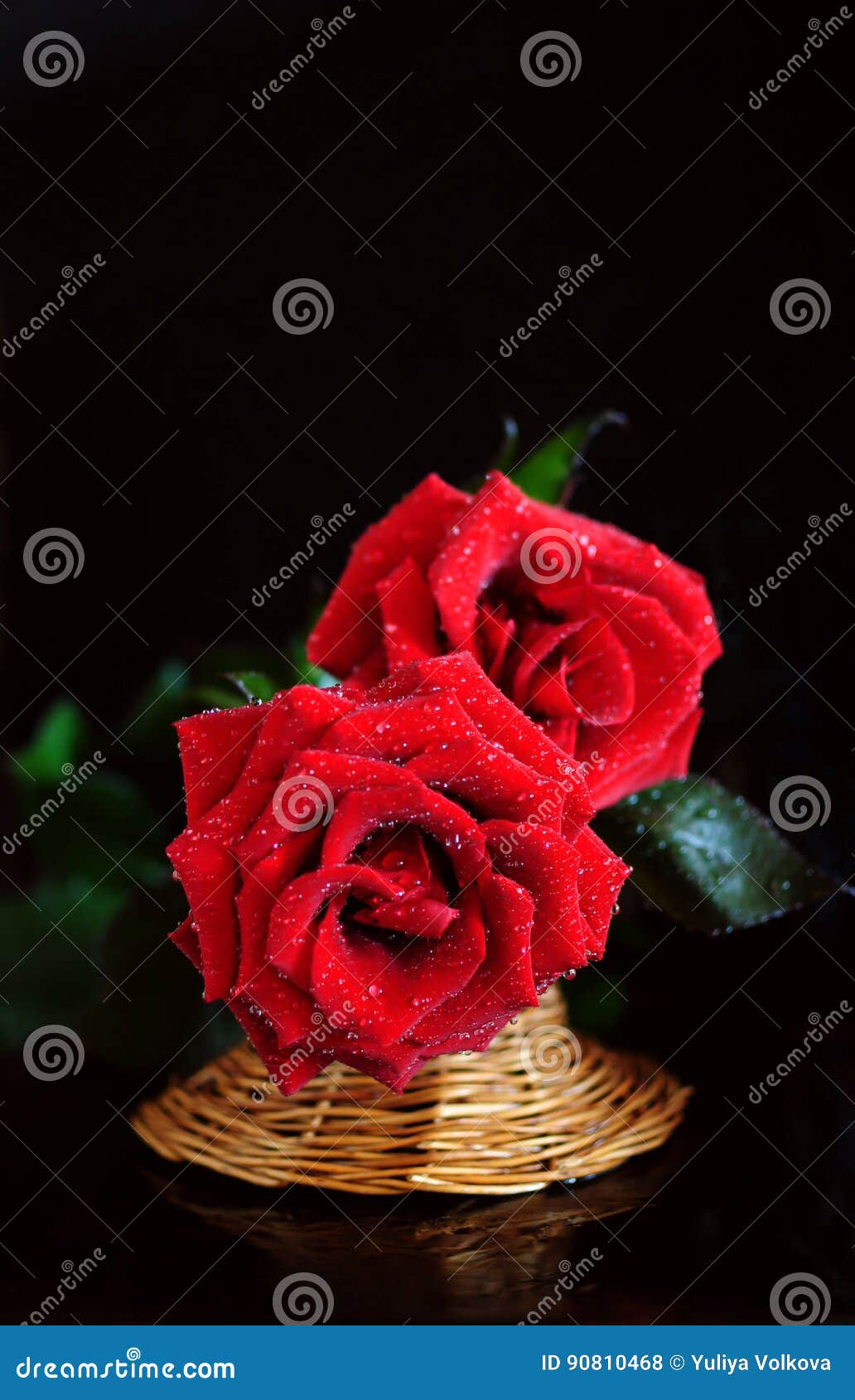 Red roses splashing water stock photo. Image of cute - 90810468