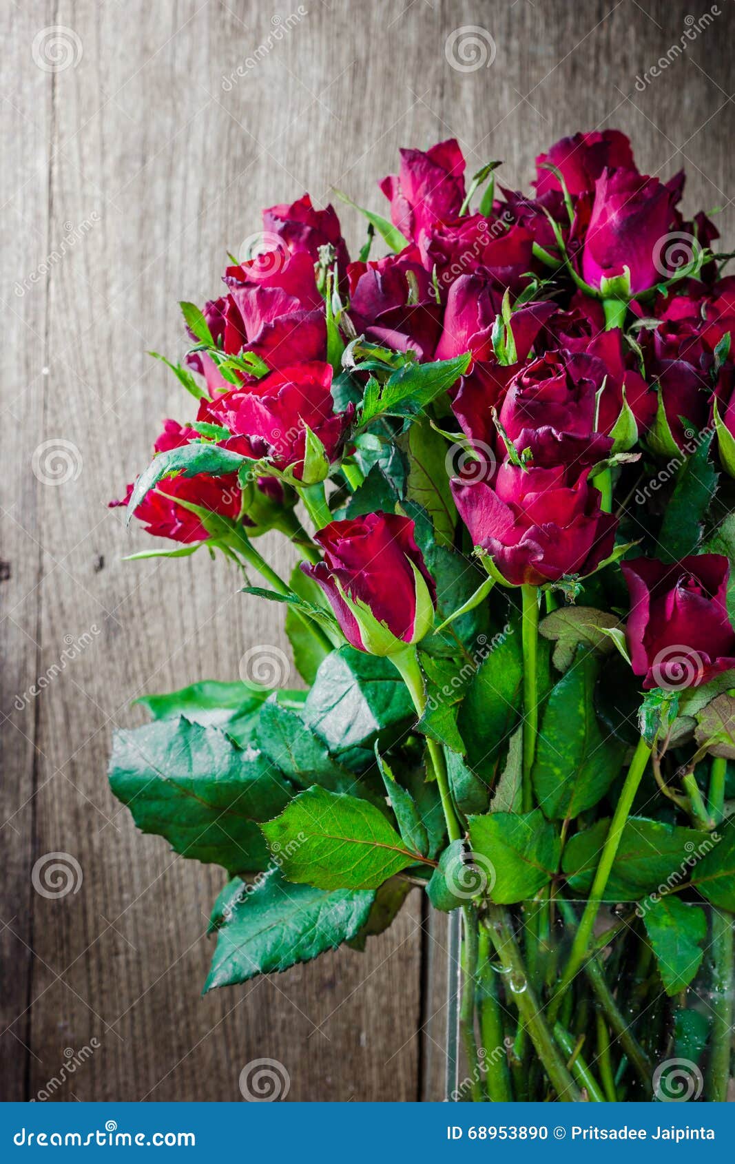 Red roses stock photo. Image of frame, petal, romantic - 68953890