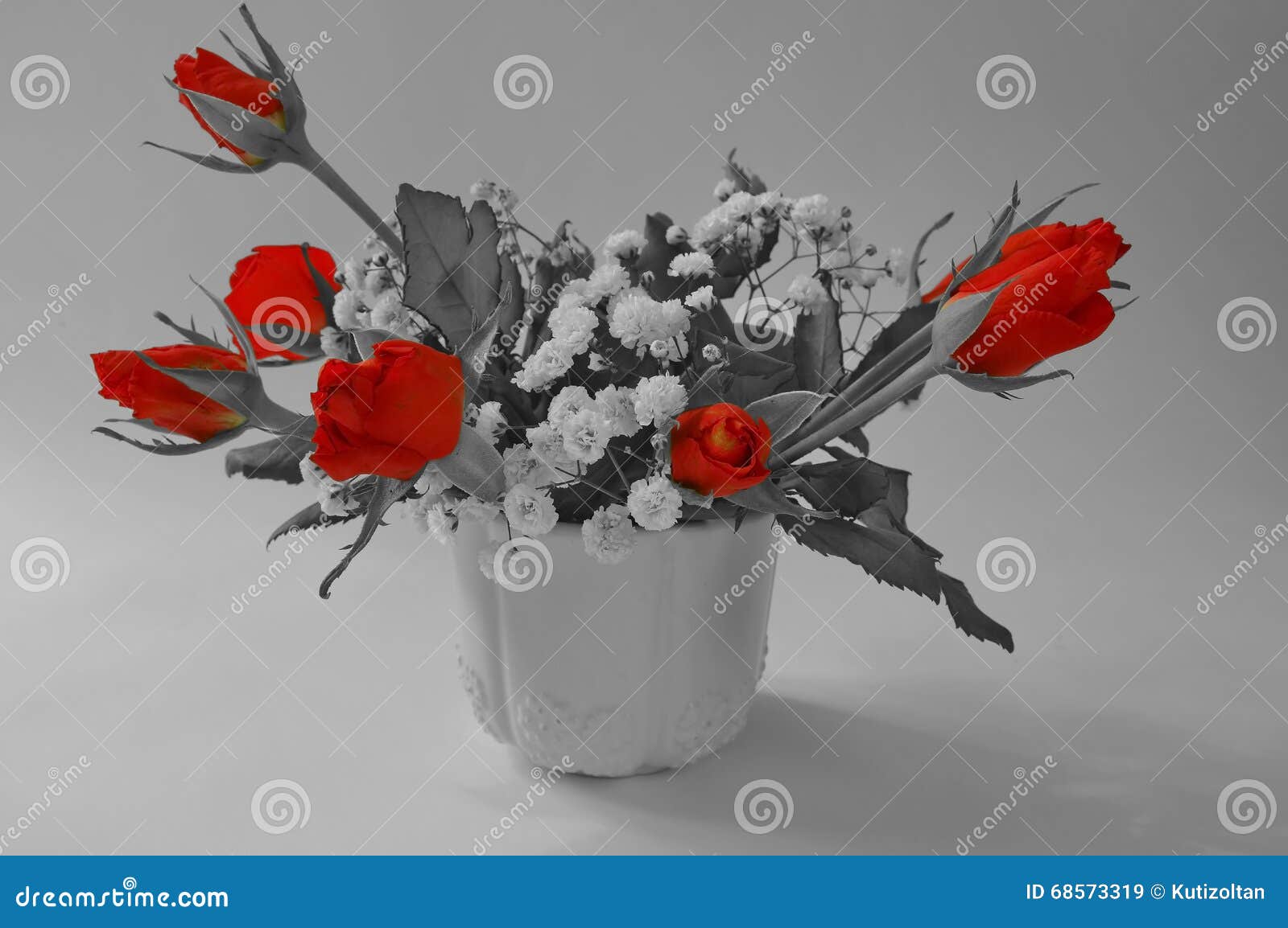 Red roses still life stock image. Image of close, roses - 68573319