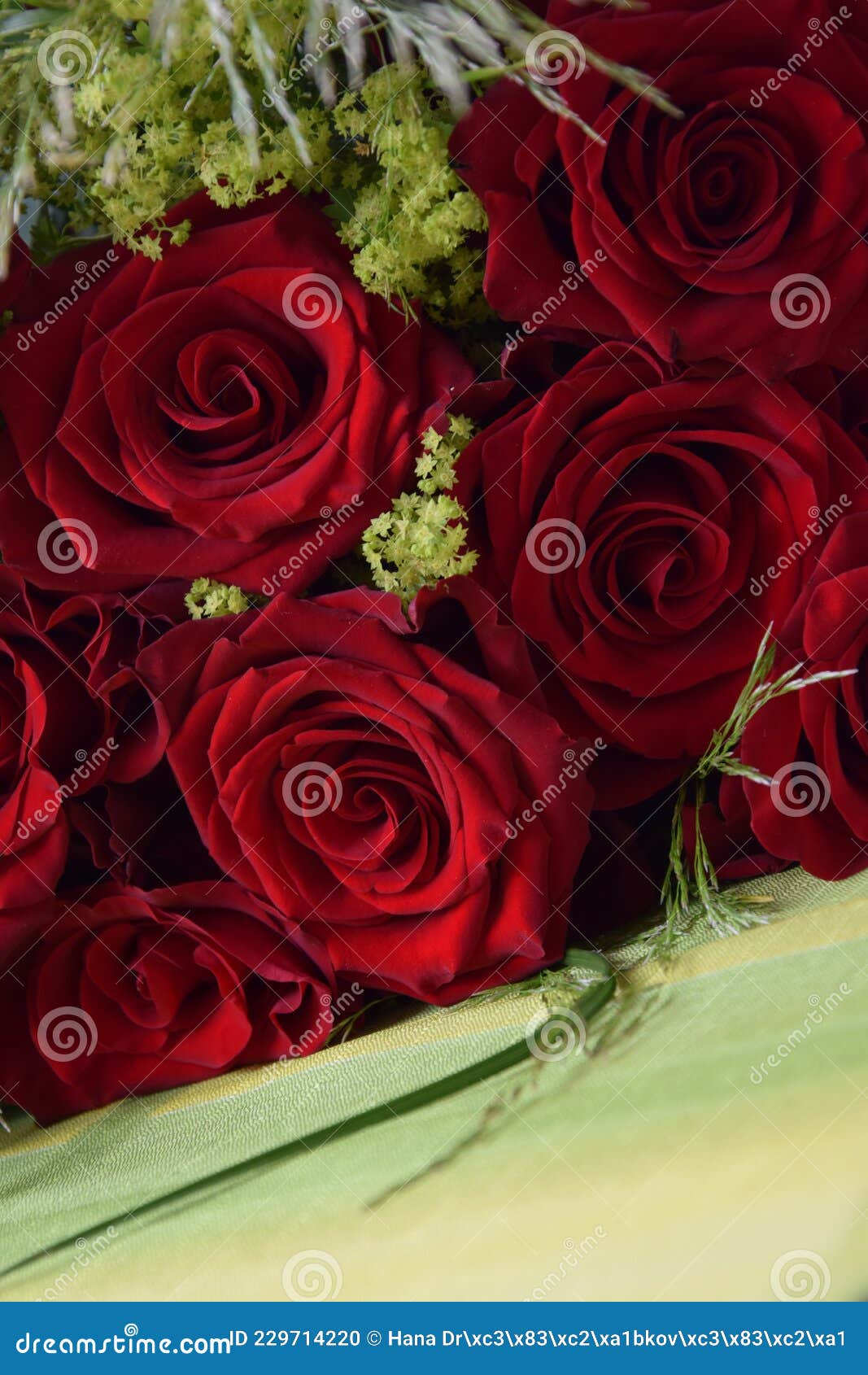 Red roses on table stock photo. Image of table, nature - 229714220