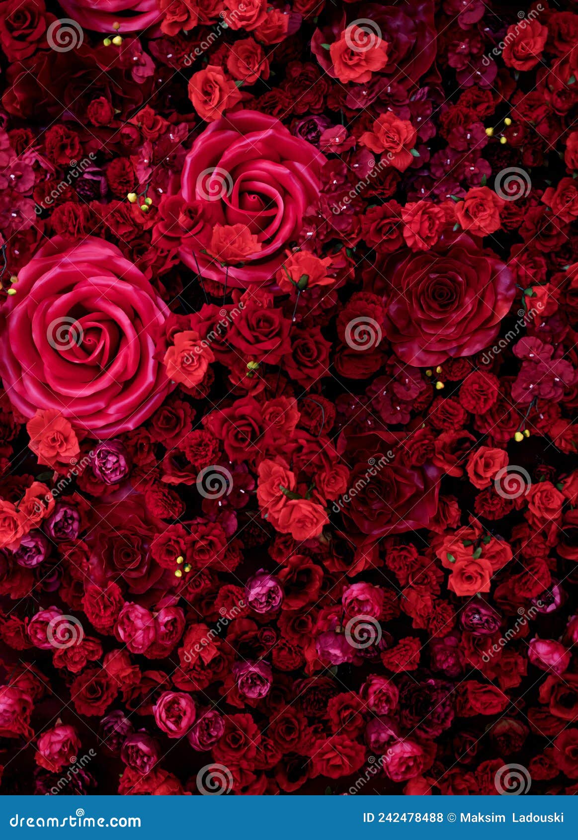 Red Roses Texture Background Stock Photo - Image of lovely, garden ...