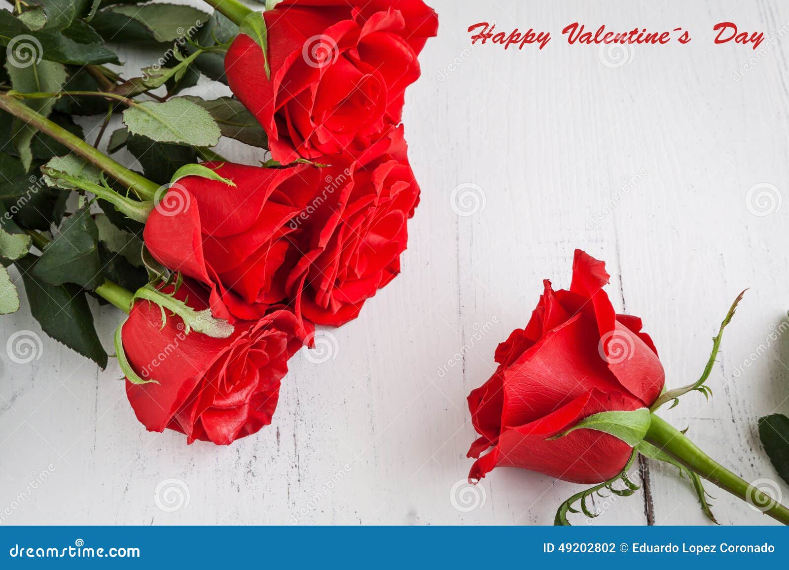 Red Roses for Valentine S Day Stock Photo - Image of petals, garden ...