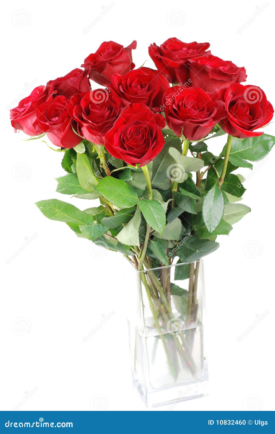 Red roses in a vase stock photo. Image of affection, anniversary - 10832460