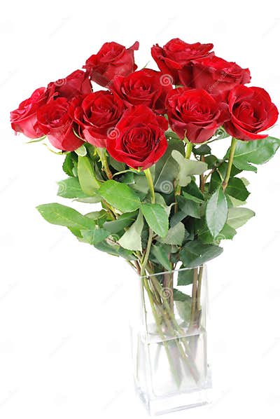 Red roses in a vase stock photo. Image of affection, anniversary - 10832460