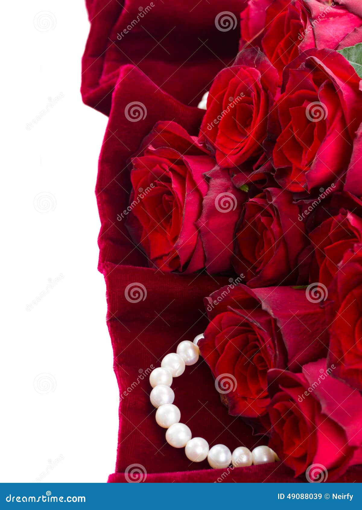 Red roses on velvet stock image. Image of flora, beautiful - 49088039