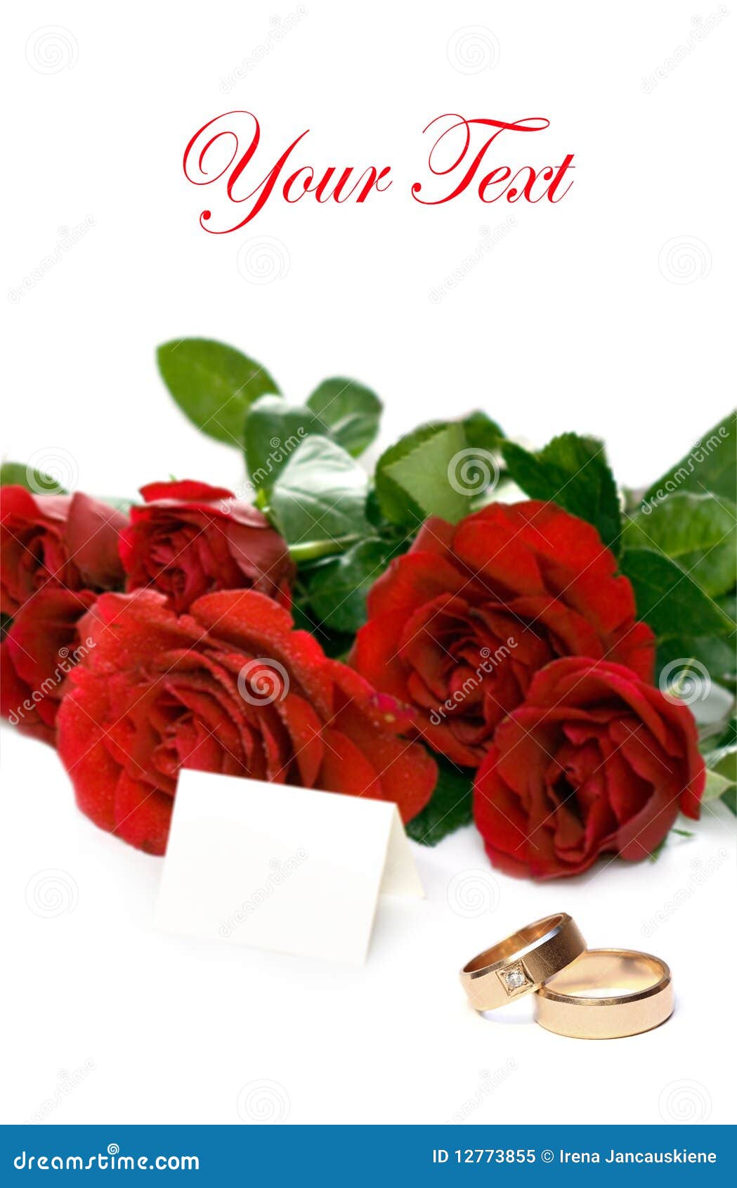 Red Roses and Wedding Rings Stock Image - Image of gold, macro: 12773855