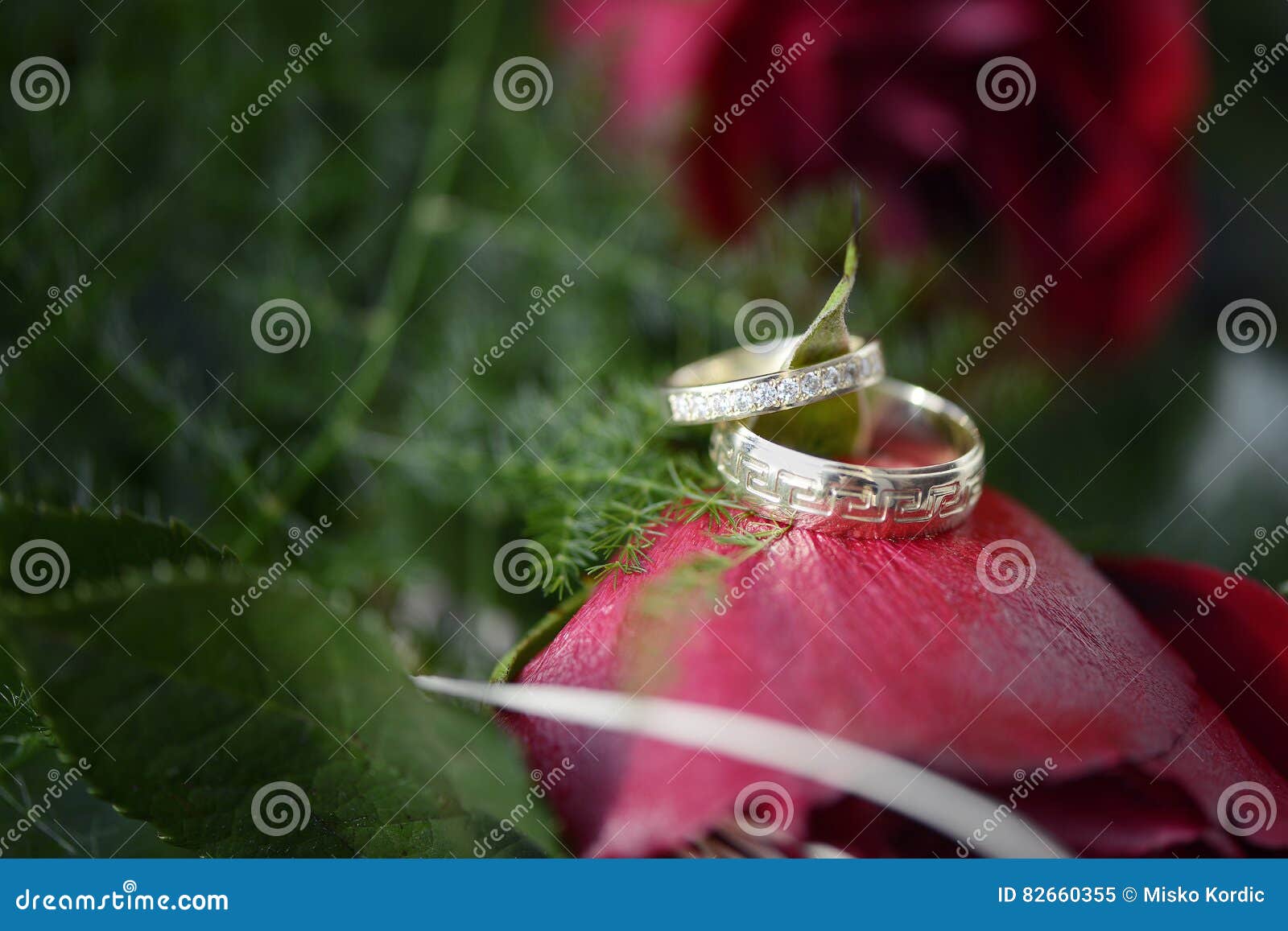 Red Roses and Wedding Rings Stock Image - Image of decoration ...