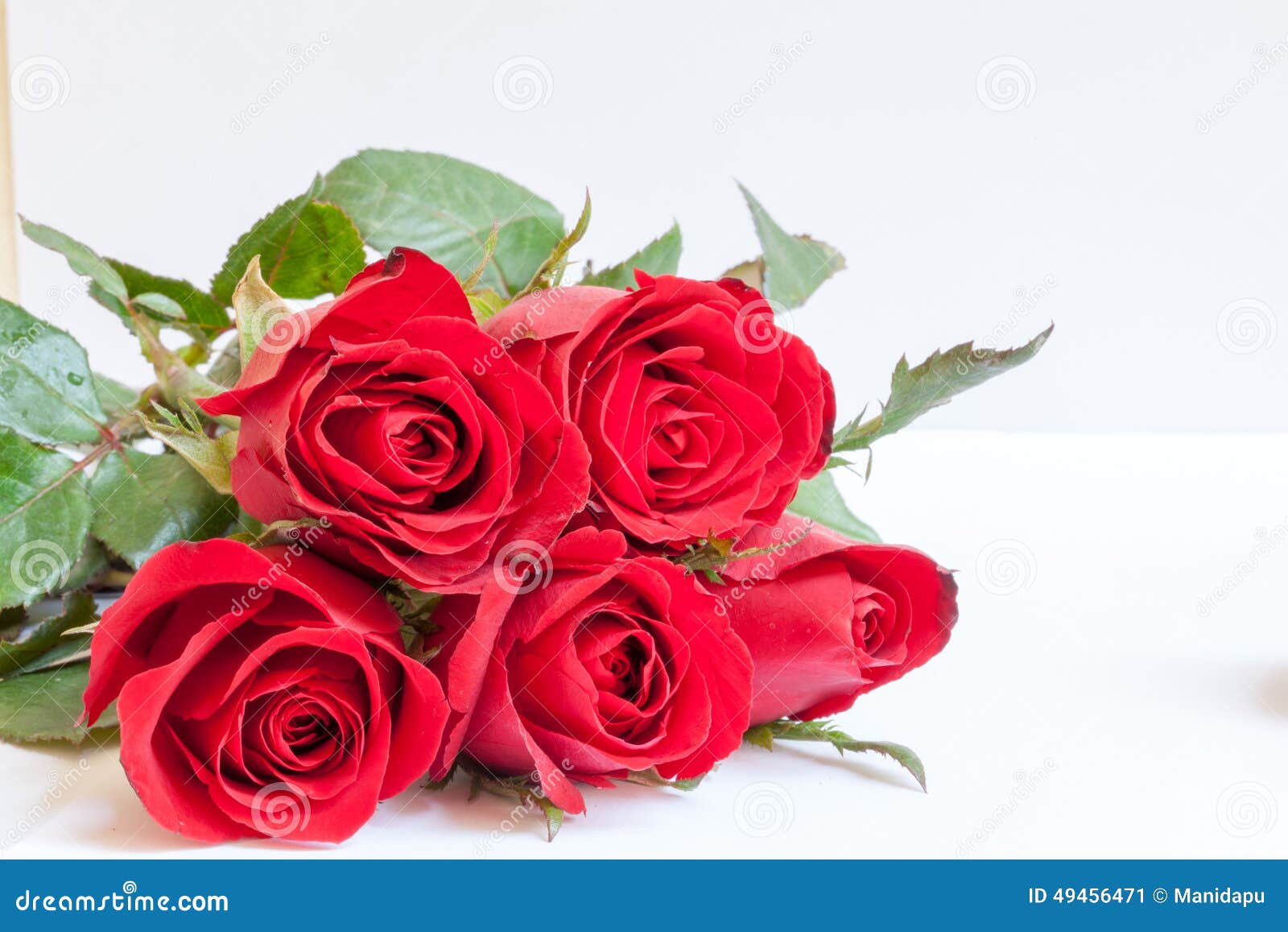Red Roses Stock Photo - Image: 49456471
