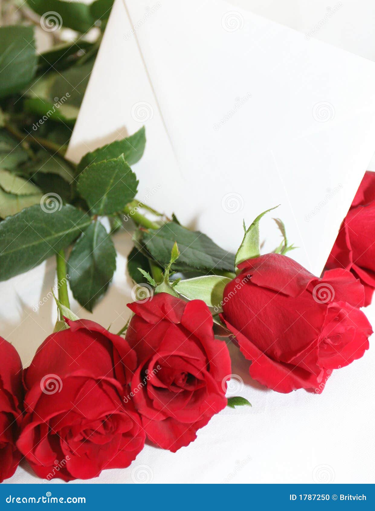 Red Roses with a White Note Stock Photo - Image of green, garland: 1787250