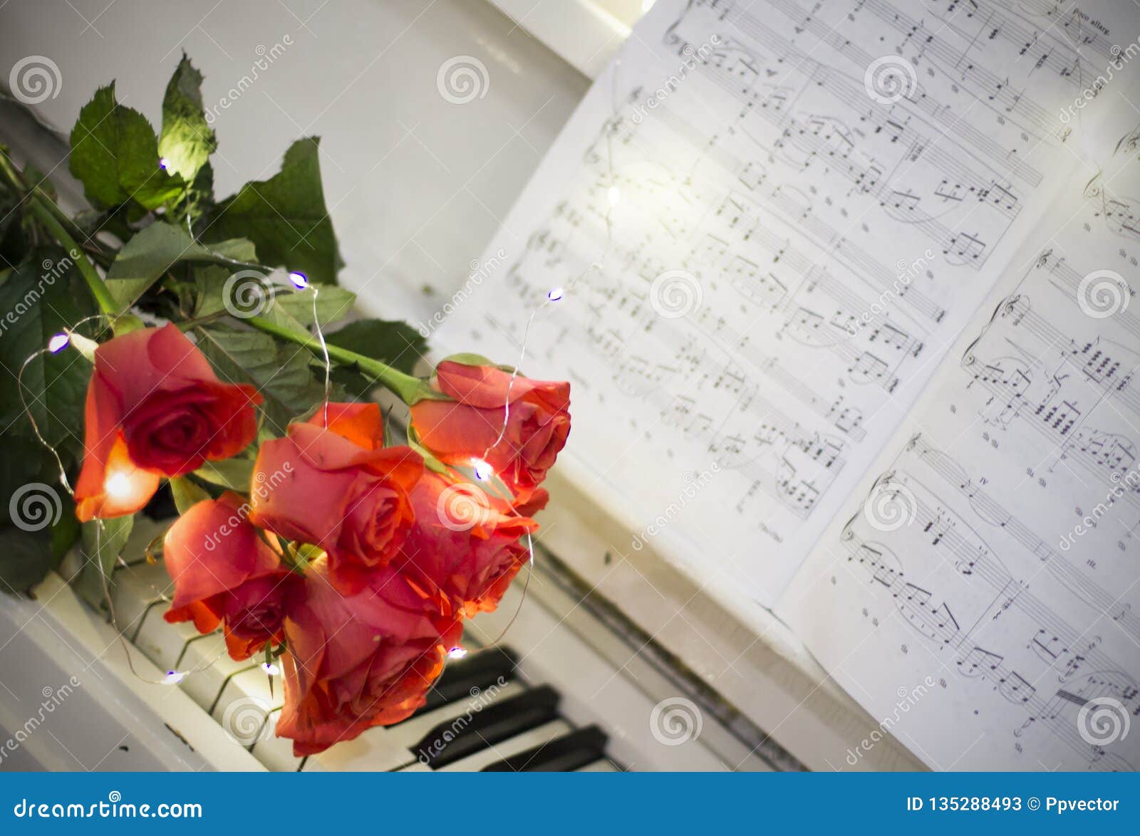 Red Roses on a White Piano with Notes Stock Image - Image of card ...