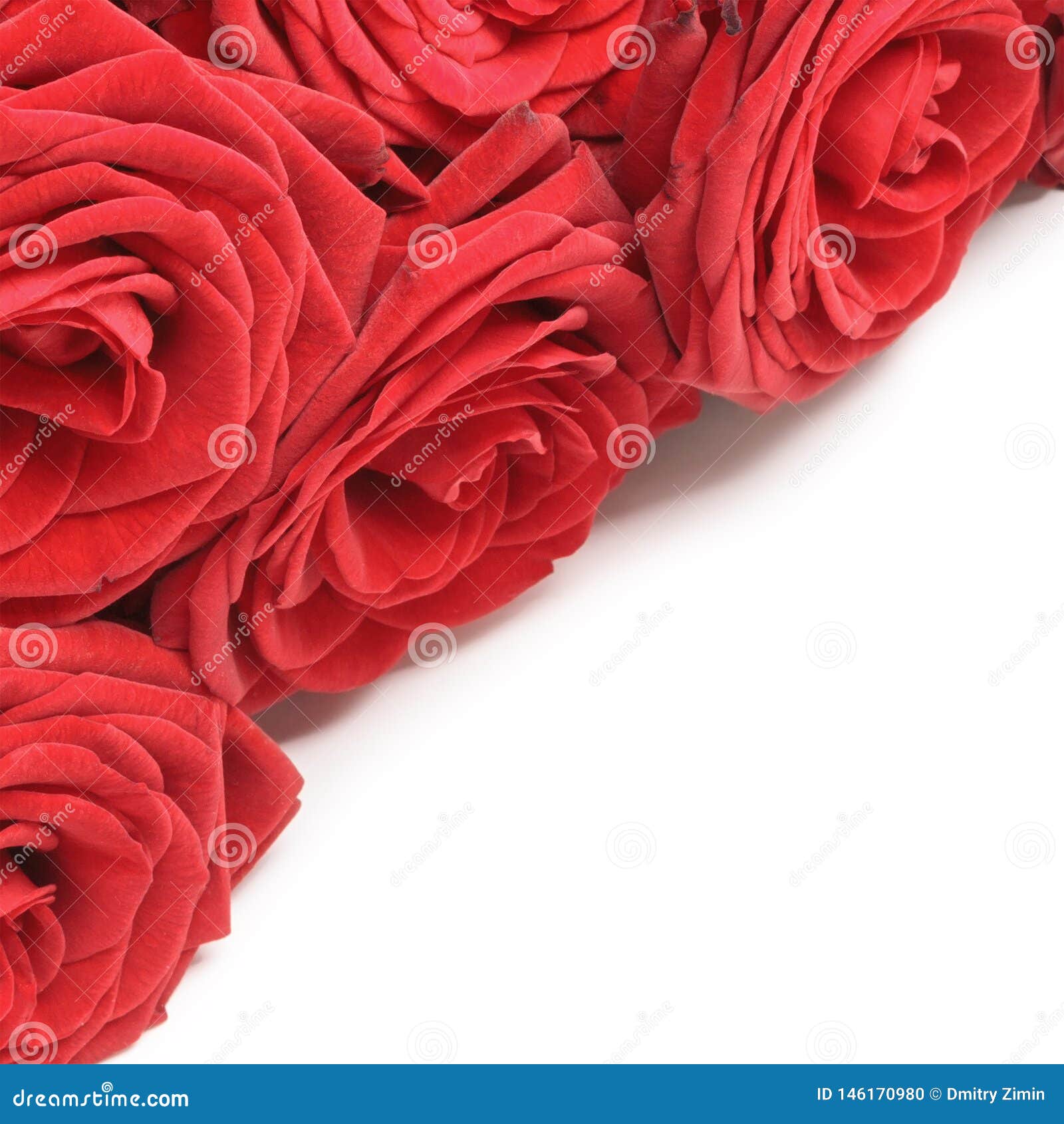 Red Roses Text Space Stock Images - Download 5,467 Royalty Free Photos