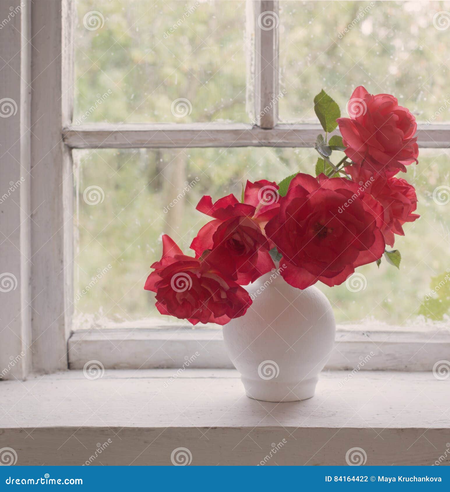 Red roses on windowsill stock photo. Image of blue, petal - 84164422