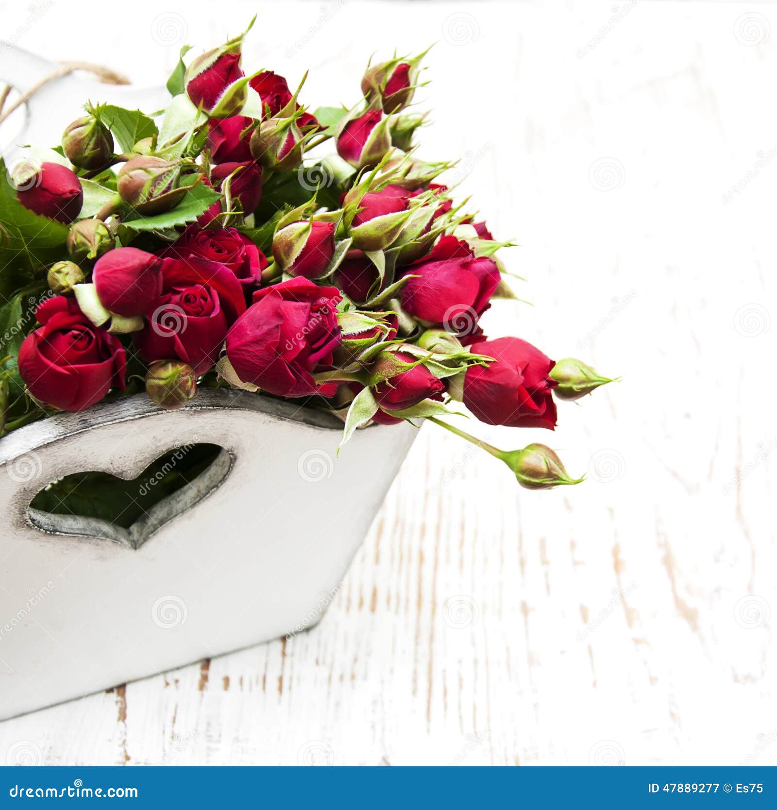 Red roses stock image. Image of floral, elegance, plant - 47889277
