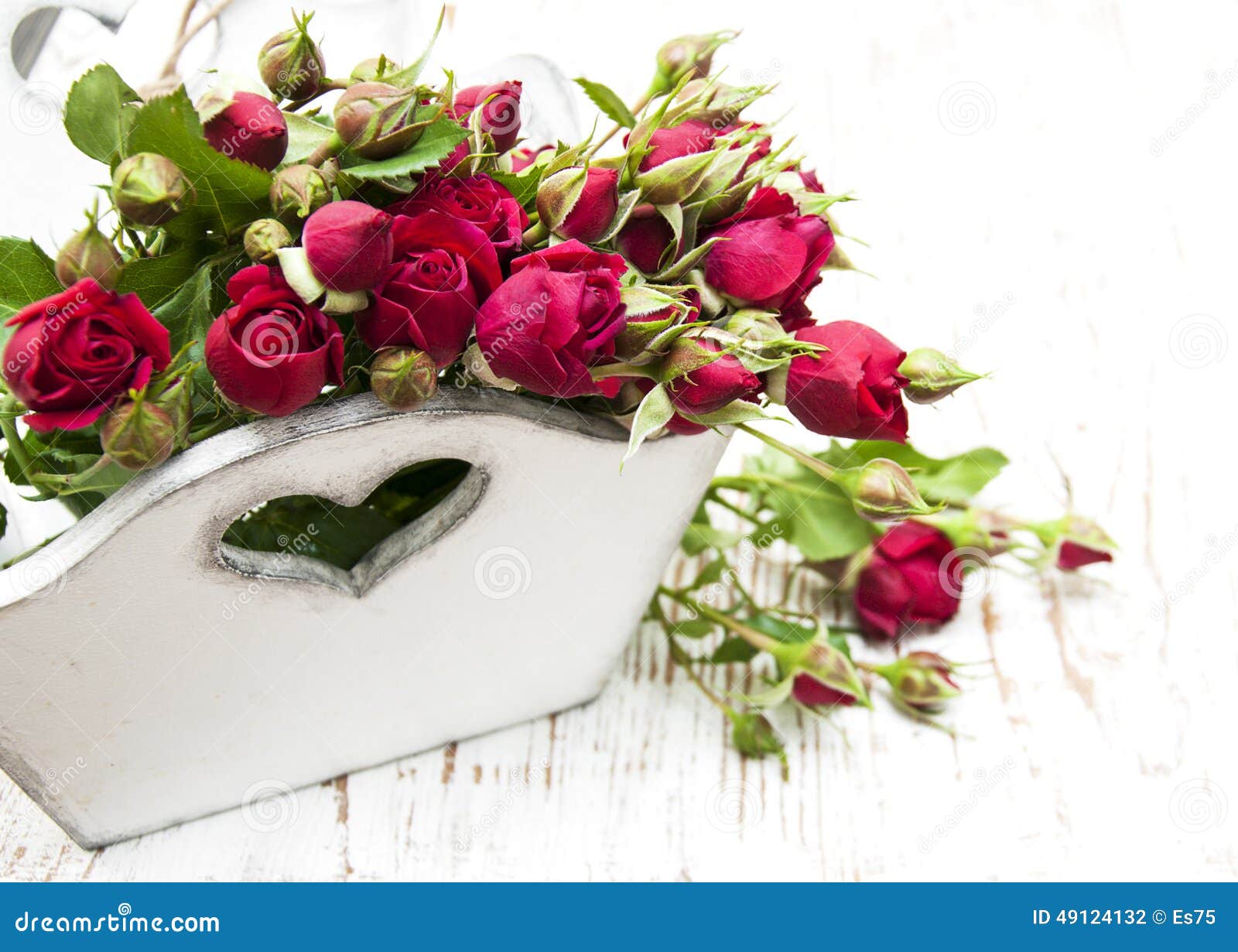 Red roses stock photo. Image of flowers, flower, perfection - 49124132