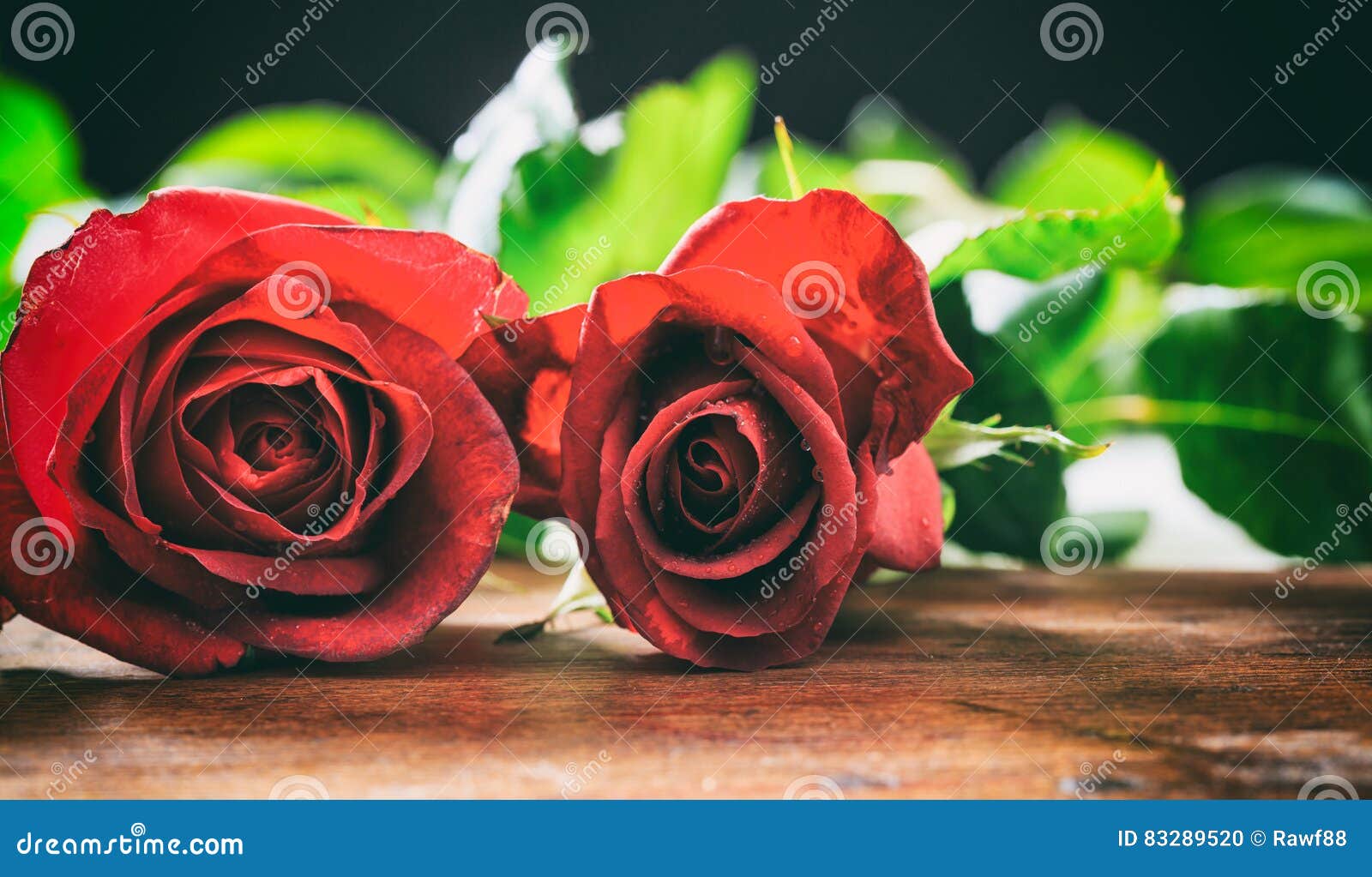 Red roses on wooden table stock photo. Image of dewdrops - 83289520